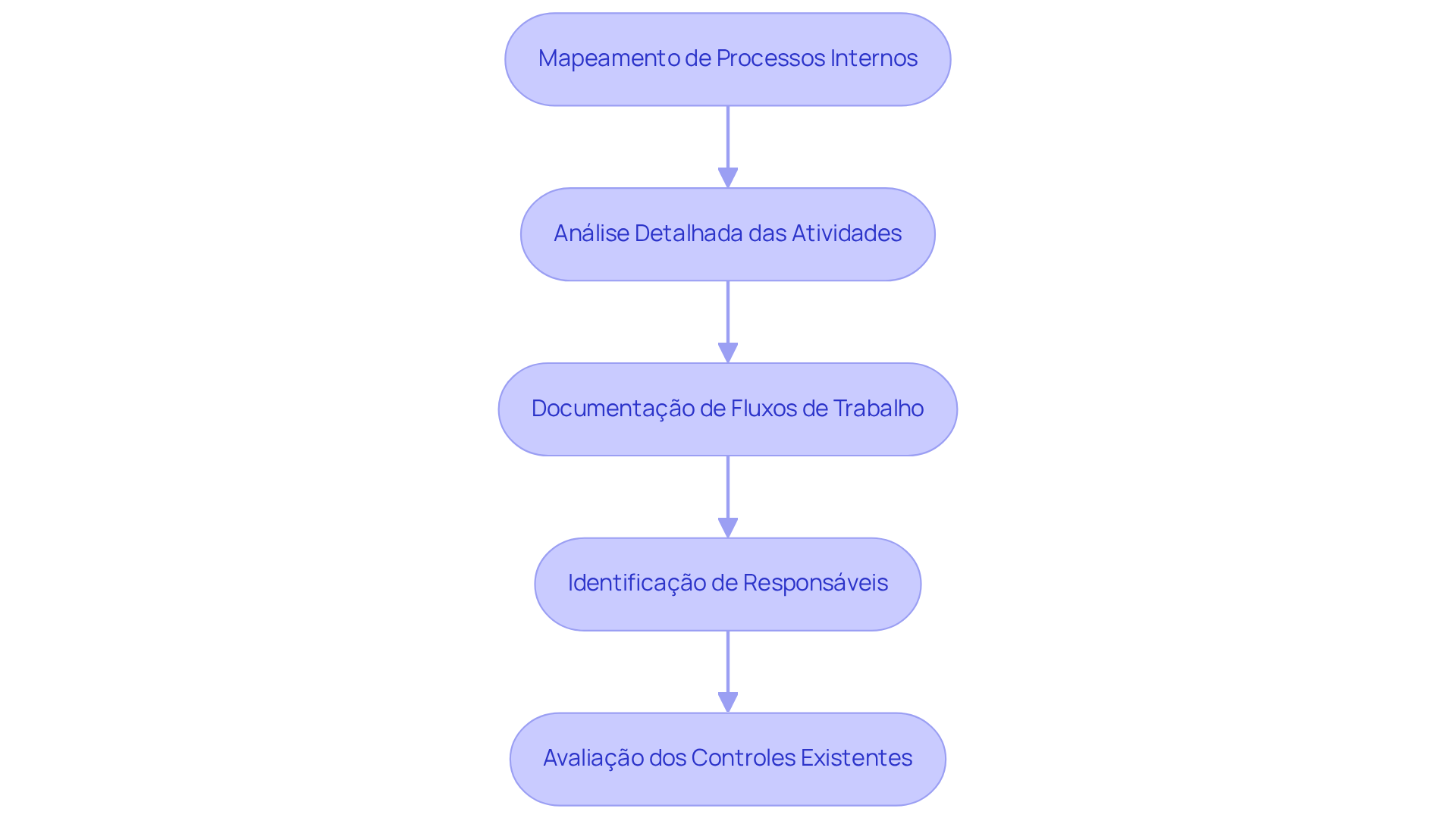 Cada bloco representa uma etapa no processo de mapeamento. Siga as setas para entender como cada atividade se relaciona e contribui para a identificação de riscos.