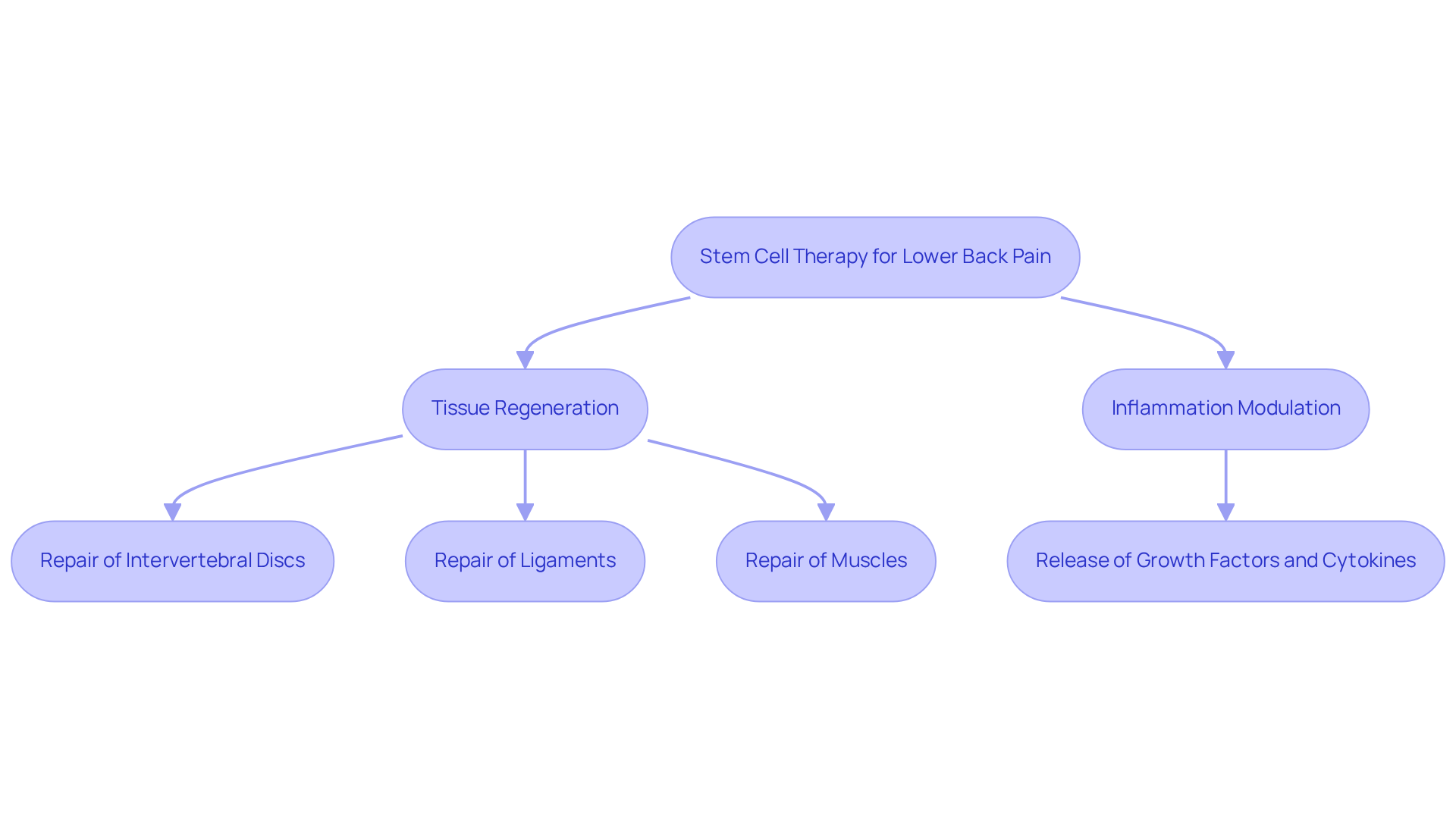 This flowchart illustrates how stem cell therapy works for lower back pain. Start at the top with the therapy itself, then follow the branches to see how it helps through tissue repair and reducing inflammation. Each step shows how the therapy aims to alleviate pain and improve function.