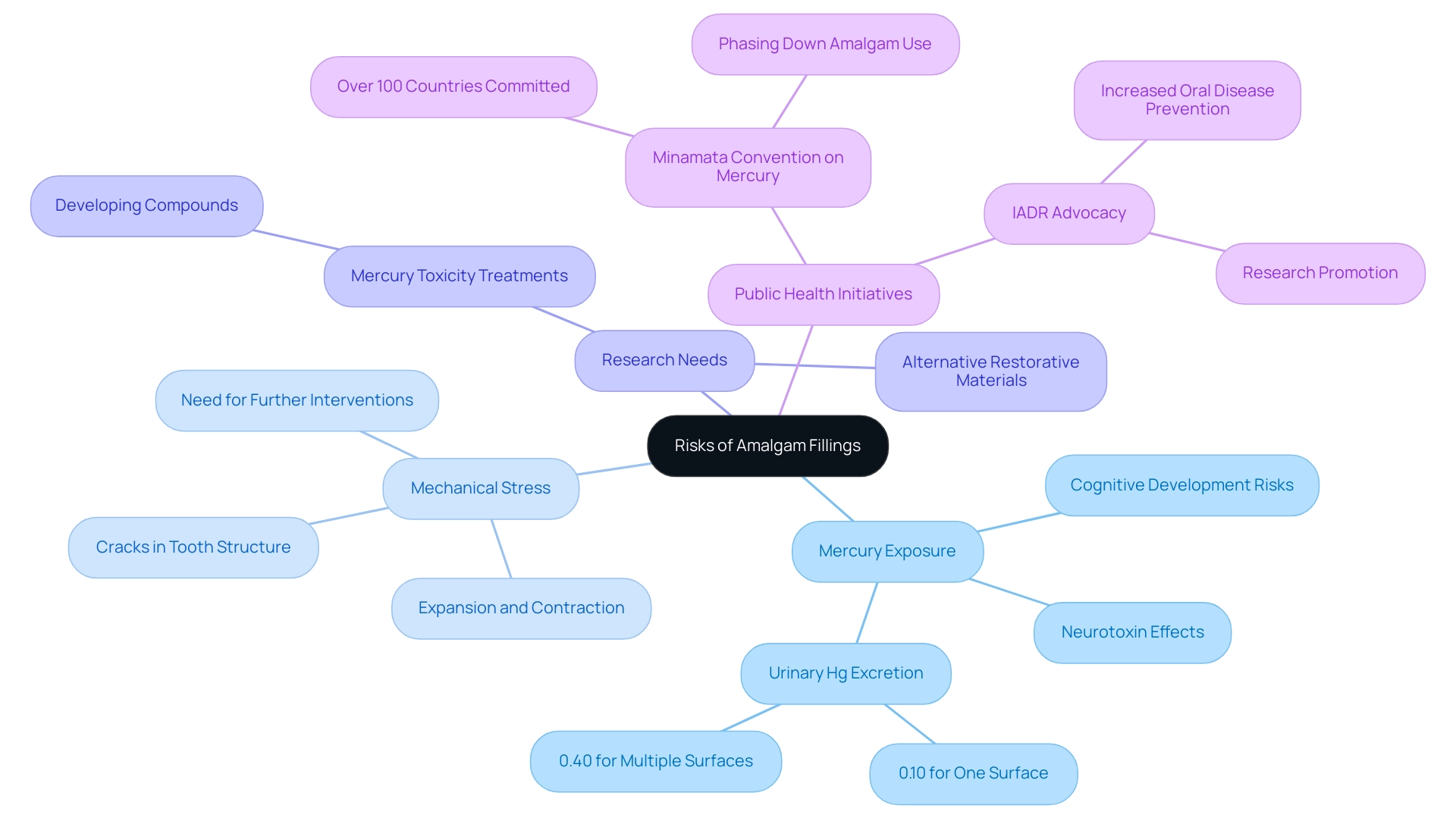 The central node represents the overall topic, with branches showing key areas of concern and their respective subpoints.