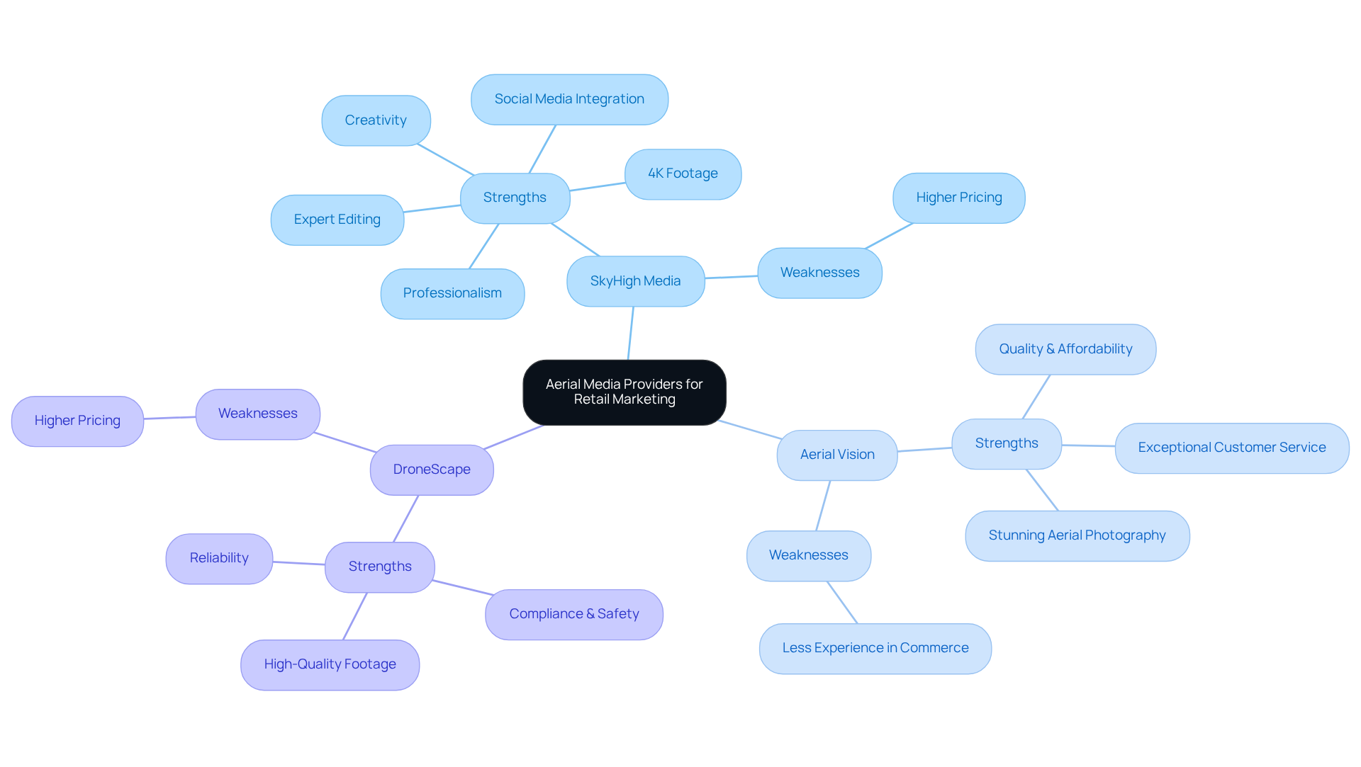 The central node represents the overall topic, while each branch shows a different provider. The sub-branches highlight what makes each provider unique, including their strengths and weaknesses. This layout helps you quickly compare your options.