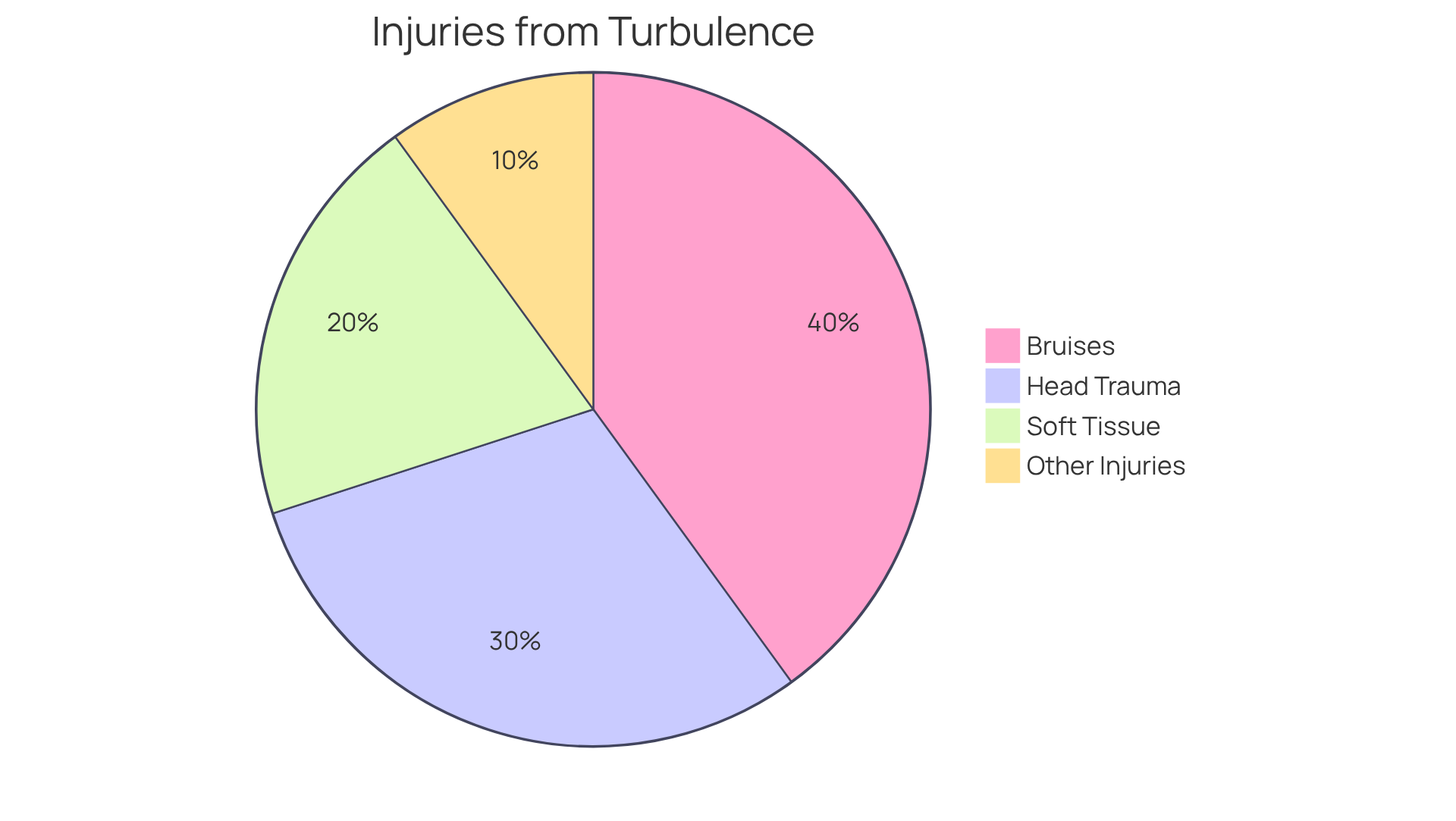 Each slice of the pie represents a type of injury that can occur during turbulence. The size of each slice shows how significant that injury is in the context of overall concerns for children during flights. A larger slice means a more common or serious type of injury.