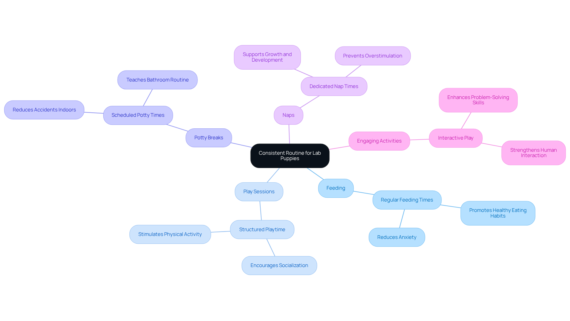 The central node represents the overall routine, while the branches illustrate the key activities. Each sub-branch explains how these activities benefit your puppy, helping you see the full picture of a nurturing schedule.