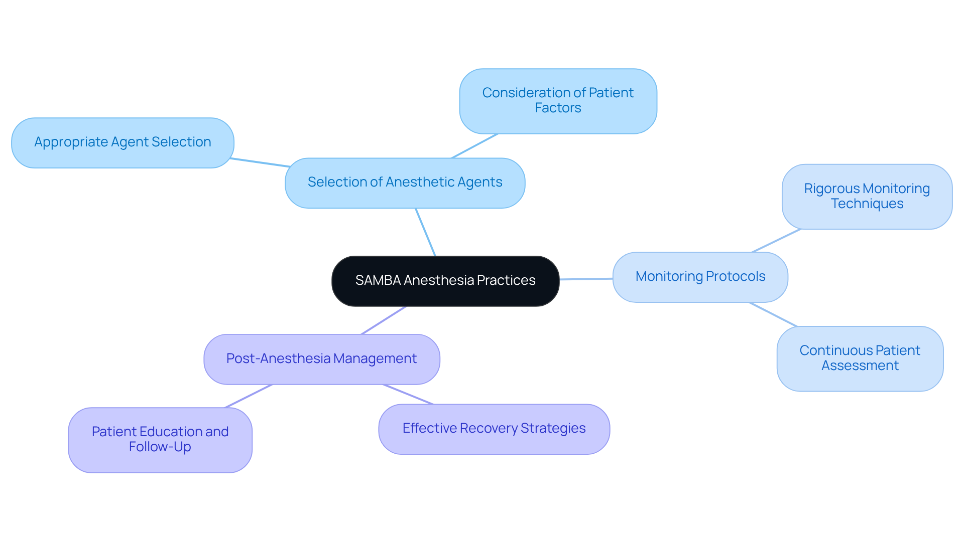 The center represents the overall focus on anesthesia practices, with branches showing specific areas of attention. Each branch details how healthcare providers can enhance patient safety and comfort. The center represents the overall focus on anesthesia practices, with branches showing specific areas of attention. Each branch details how healthcare providers can enhance patient safety and comfort.