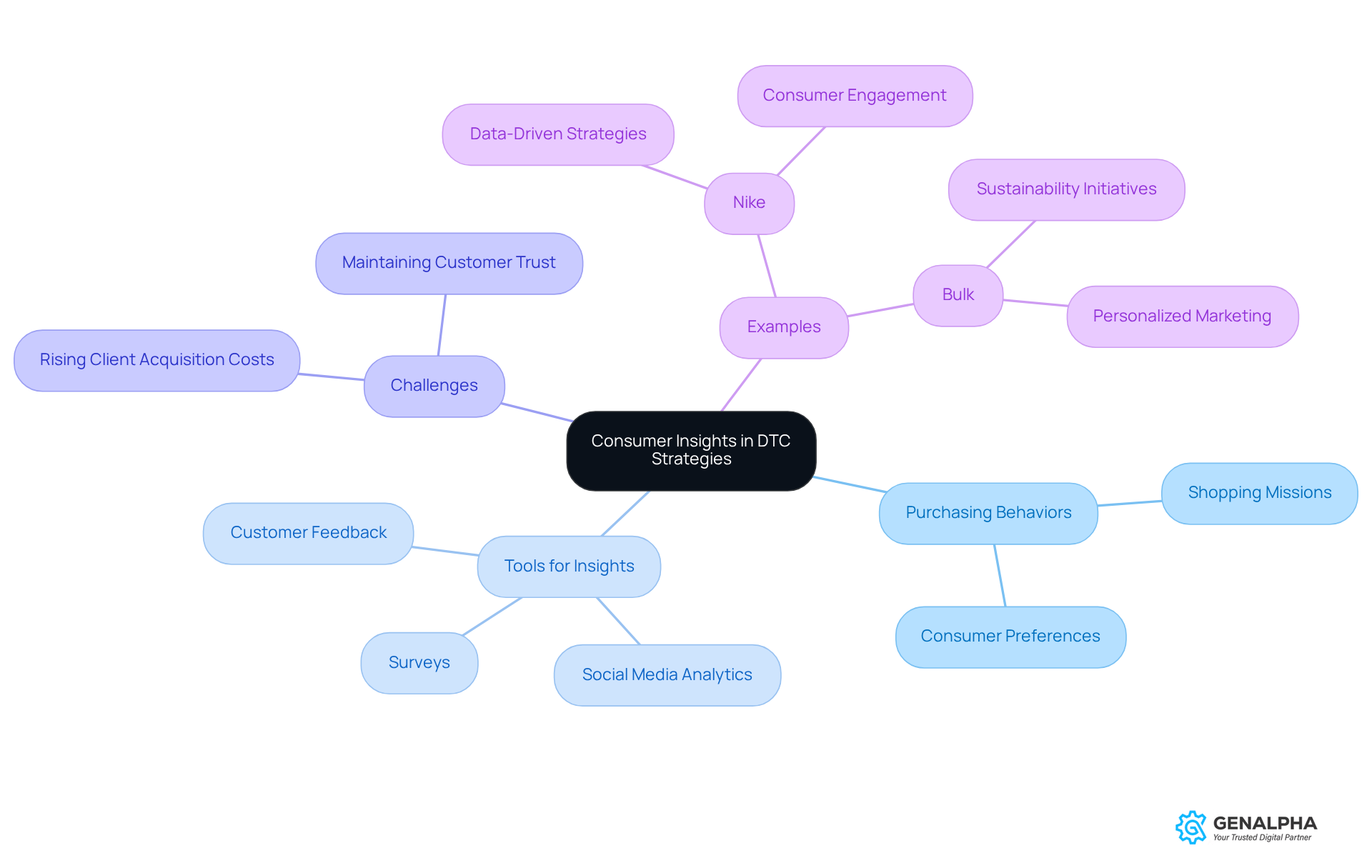 The center represents the main focus on consumer insights, while the branches illustrate key related topics. Each branch shows how these elements contribute to successful direct-to-consumer strategies.