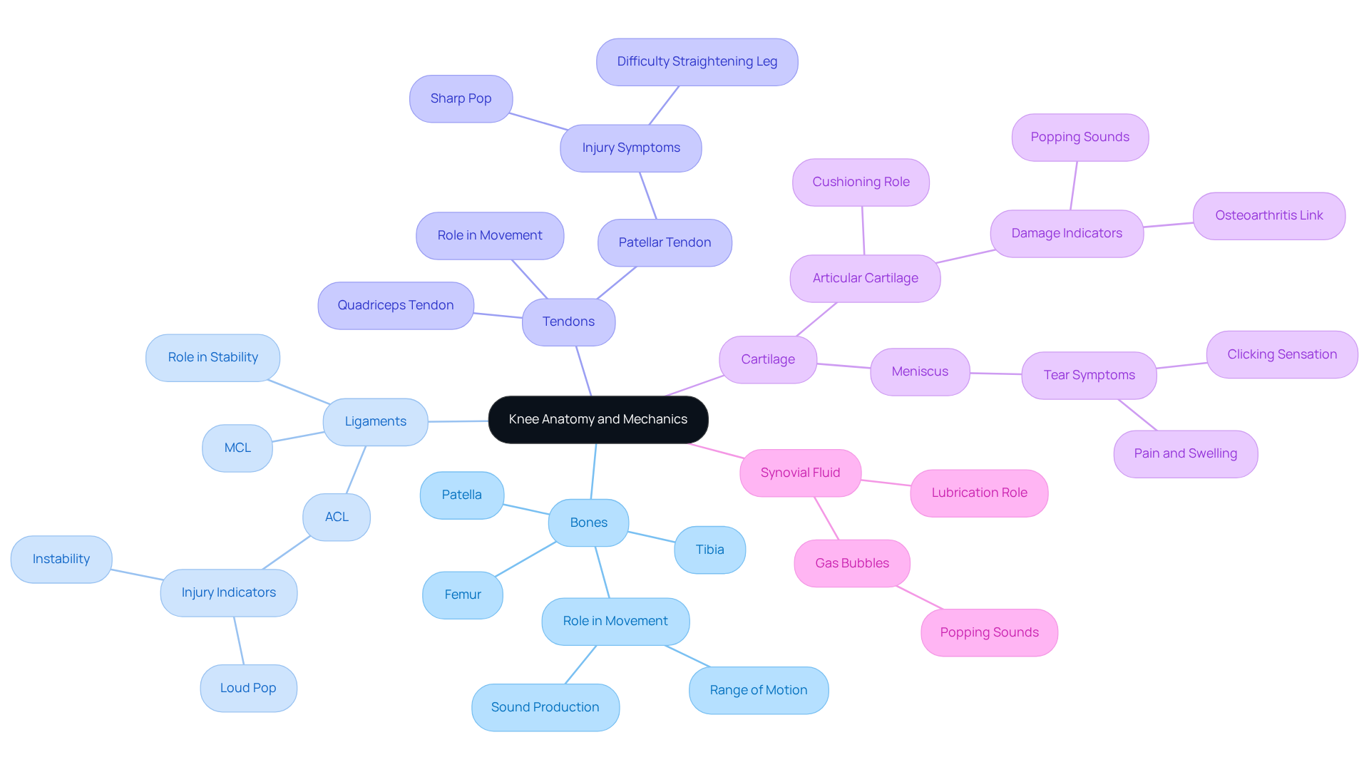 This mindmap starts with the main topic in the center and branches out to show how different parts of the knee work together. Each branch represents a key component, and the sub-branches explain their roles and how they relate to popping sounds. Follow the branches to see how everything connects! This mindmap starts with the main topic in the center and branches out to show how different parts of the knee work together. Each branch represents a key component, and the sub-branches explain their roles and how they relate to popping sounds. Follow the branches to see how everything connects!