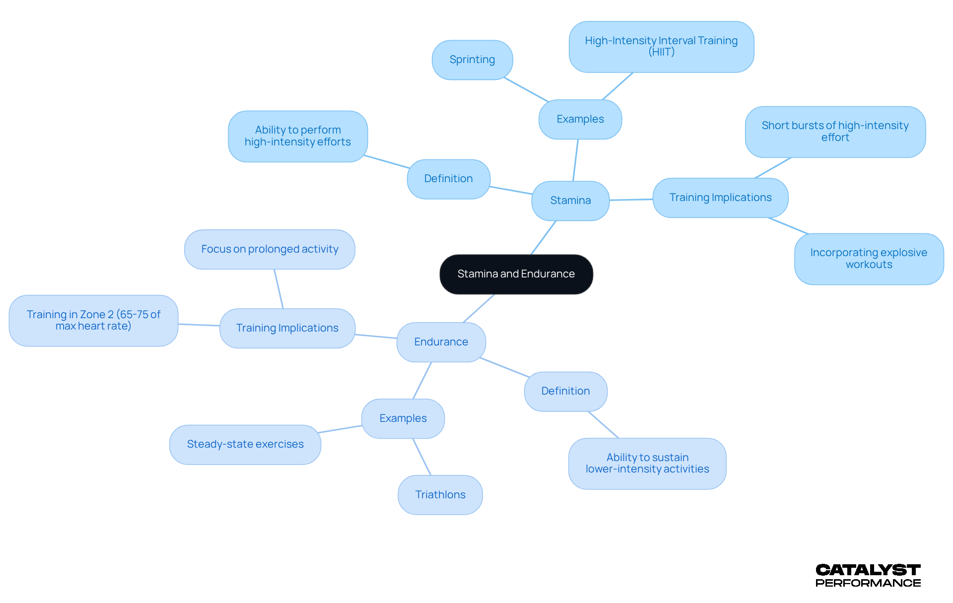 The central node represents the main topic, while the branches show the two key concepts. Each sub-node provides more detail about definitions, examples, and training methods, helping you grasp the differences and applications of stamina and endurance in fitness.