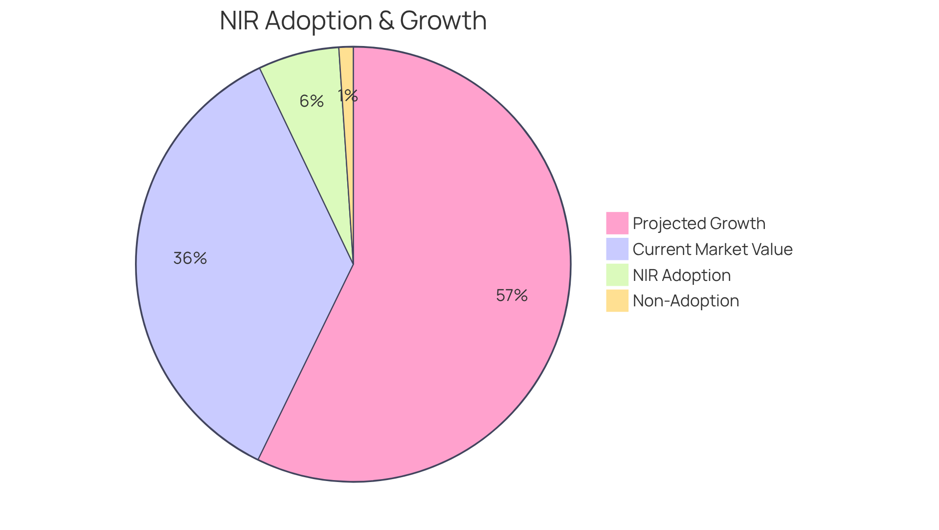 The first pie chart shows how many drug manufacturers use NIR spectroscopy - the bigger the blue slice, the more manufacturers are using this technology. The second pie chart illustrates the growth of the NIR spectroscopy market, with the green slice representing the current market value and the larger slice showing projected growth.