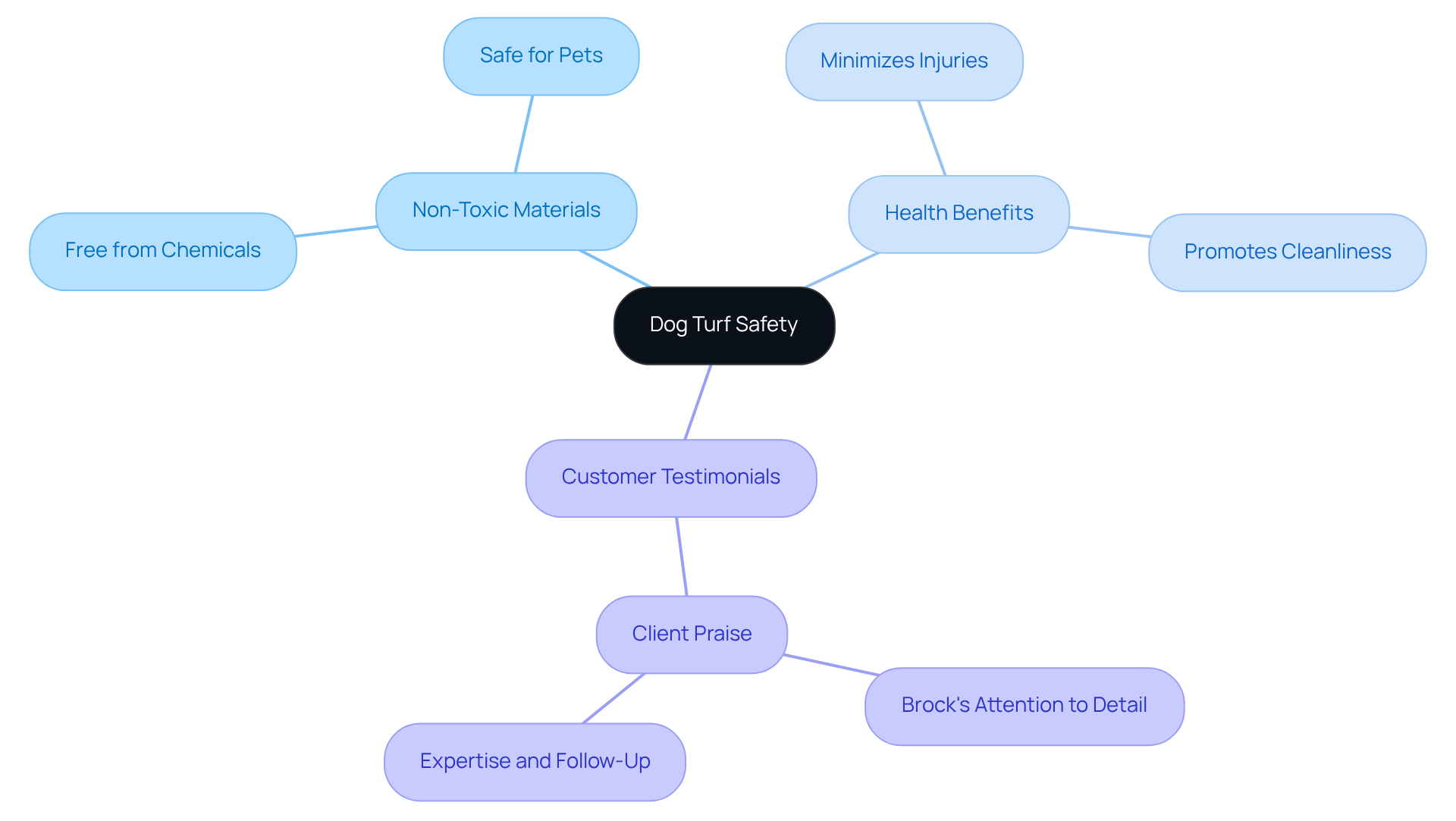 The center represents the main focus on dog turf safety, with branches showing important aspects like materials and customer feedback. Each branch highlights how these elements contribute to a safer environment for pets.
