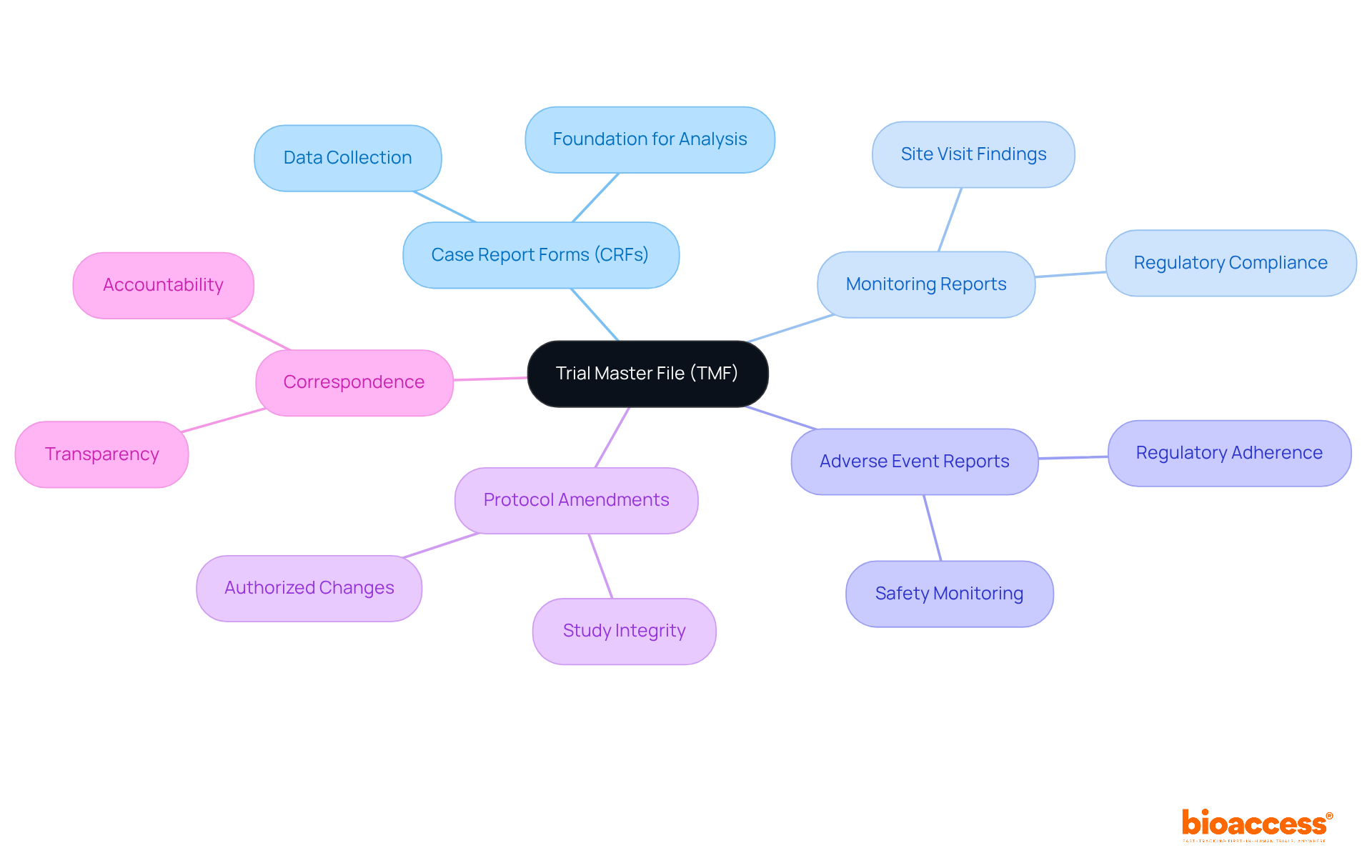The central node represents the Trial Master File, and each branch shows a crucial document that contributes to the study's compliance. The descriptions provide context on why each document matters.