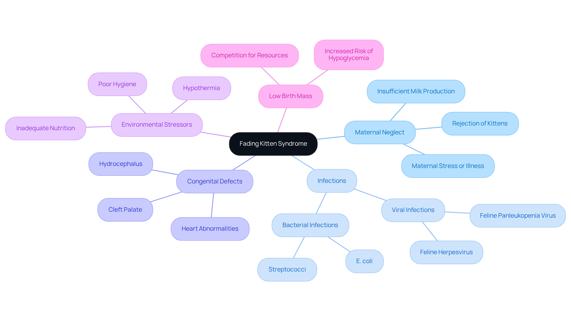 The central node represents the main issue, while each branch shows a different cause. The sub-branches give more details about each cause, helping you understand how they relate to the health of newborn kittens.