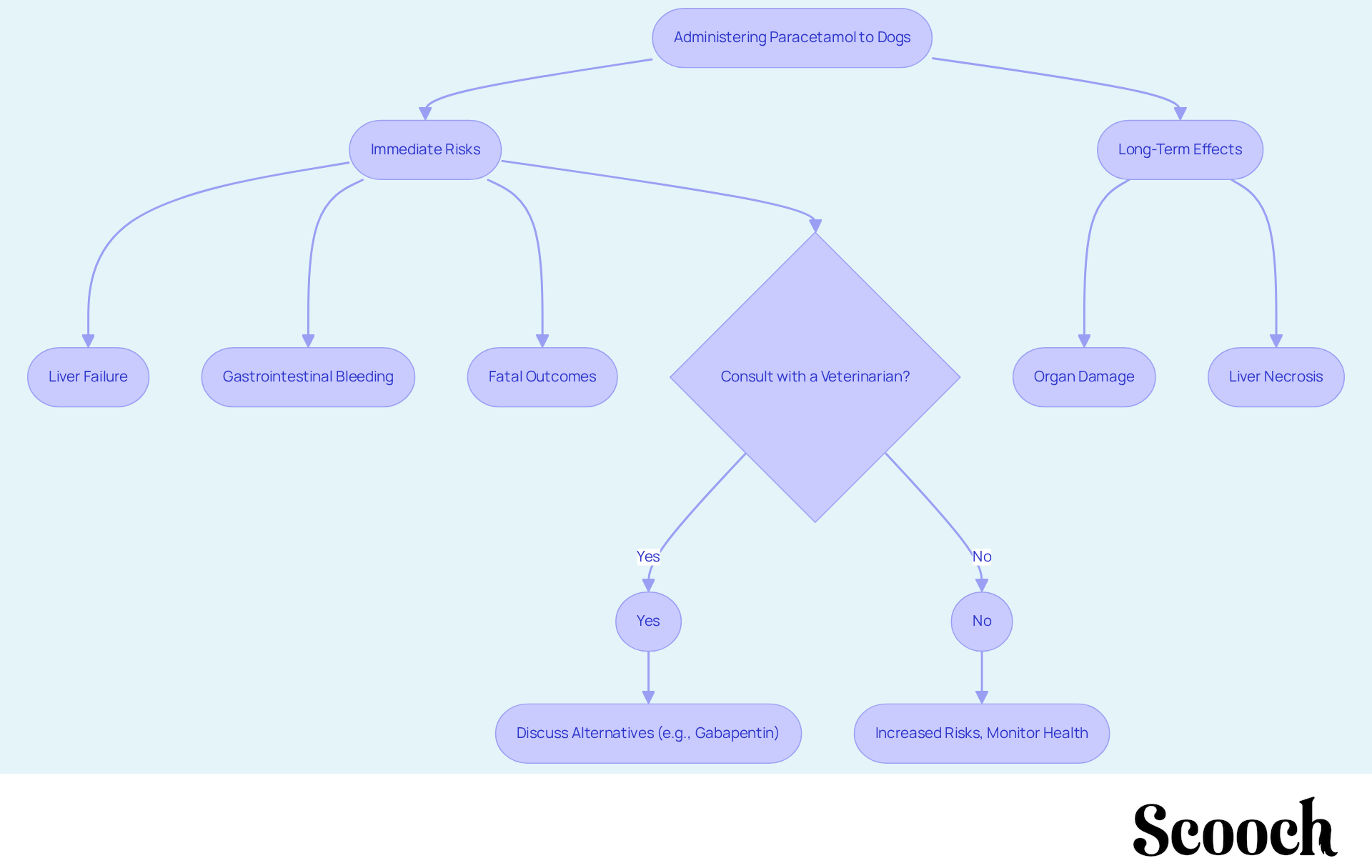 Follow the flowchart to understand what happens when paracetamol is given to dogs. Each box represents a risk or action, and the arrows show the path to take to ensure your dog's health is prioritized. Follow the flowchart to understand what happens when paracetamol is given to dogs. Each box represents a risk or action, and the arrows show the path to take to ensure your dog's health is prioritized.