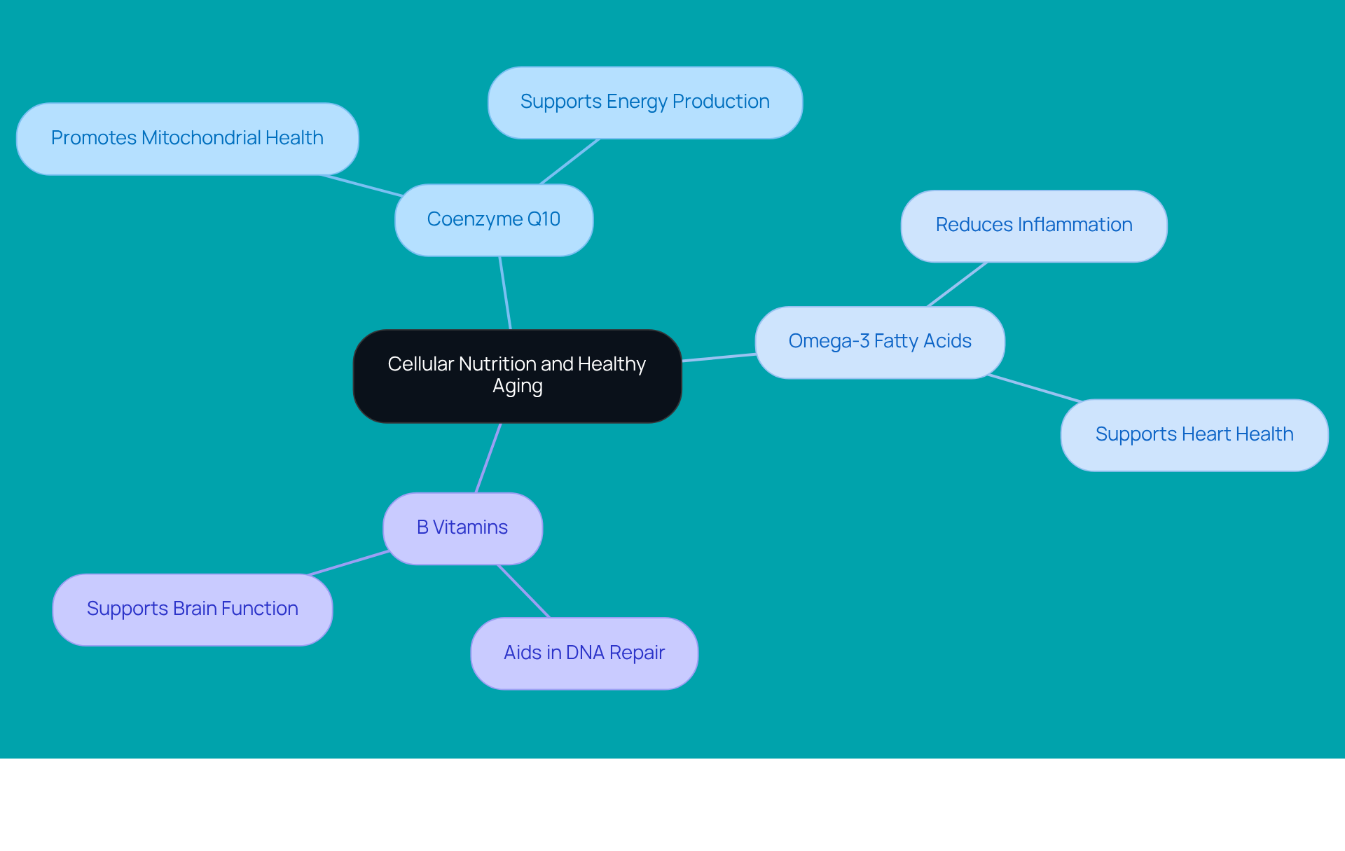 The central node represents the main theme of cellular nutrition and healthy aging. Each branch shows a specific nutrient and its benefits, helping you understand how they contribute to a healthier, more vibrant life as you age. The central node represents the main theme of cellular nutrition and healthy aging. Each branch shows a specific nutrient and its benefits, helping you understand how they contribute to a healthier, more vibrant life as you age.