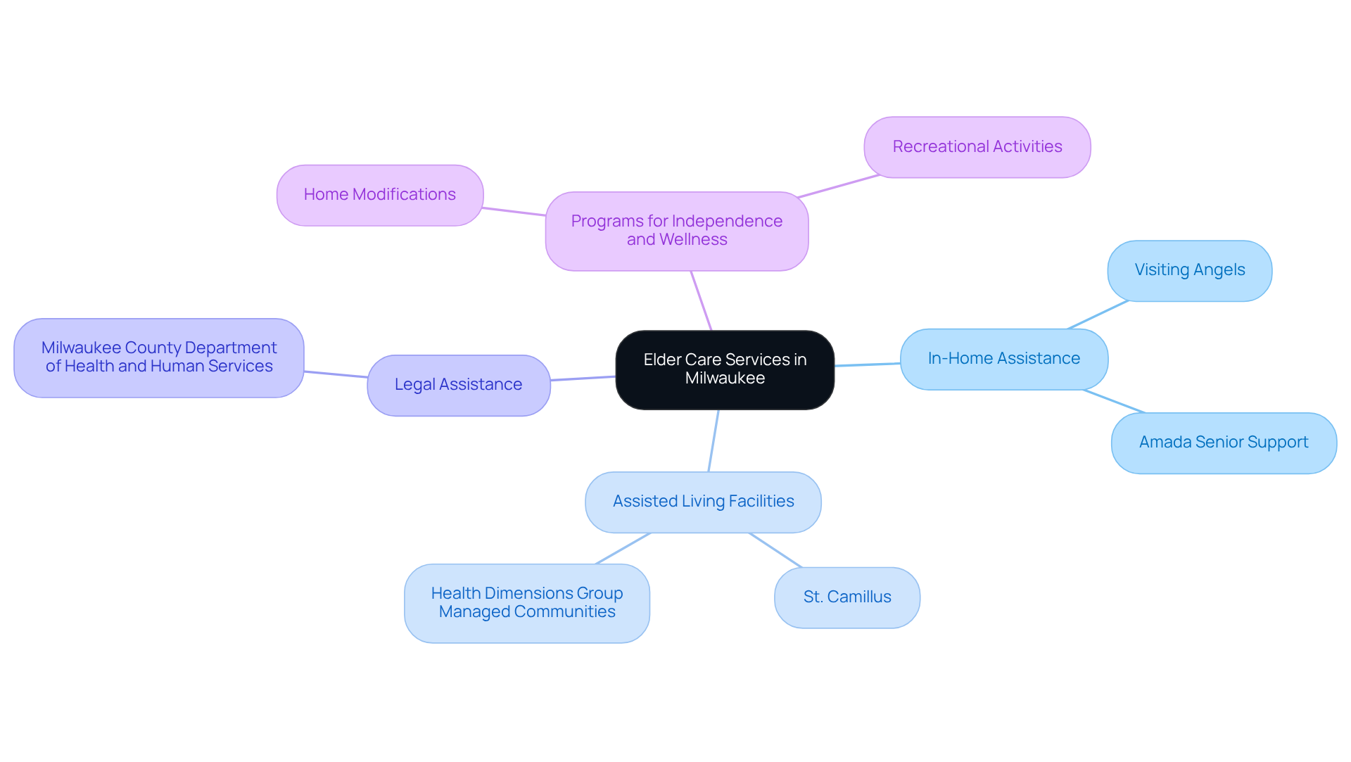The central node represents the overall theme of elder care services, while the branches show different types of care and organizations that provide support. Each color-coded branch helps you quickly identify the various options available for seniors.