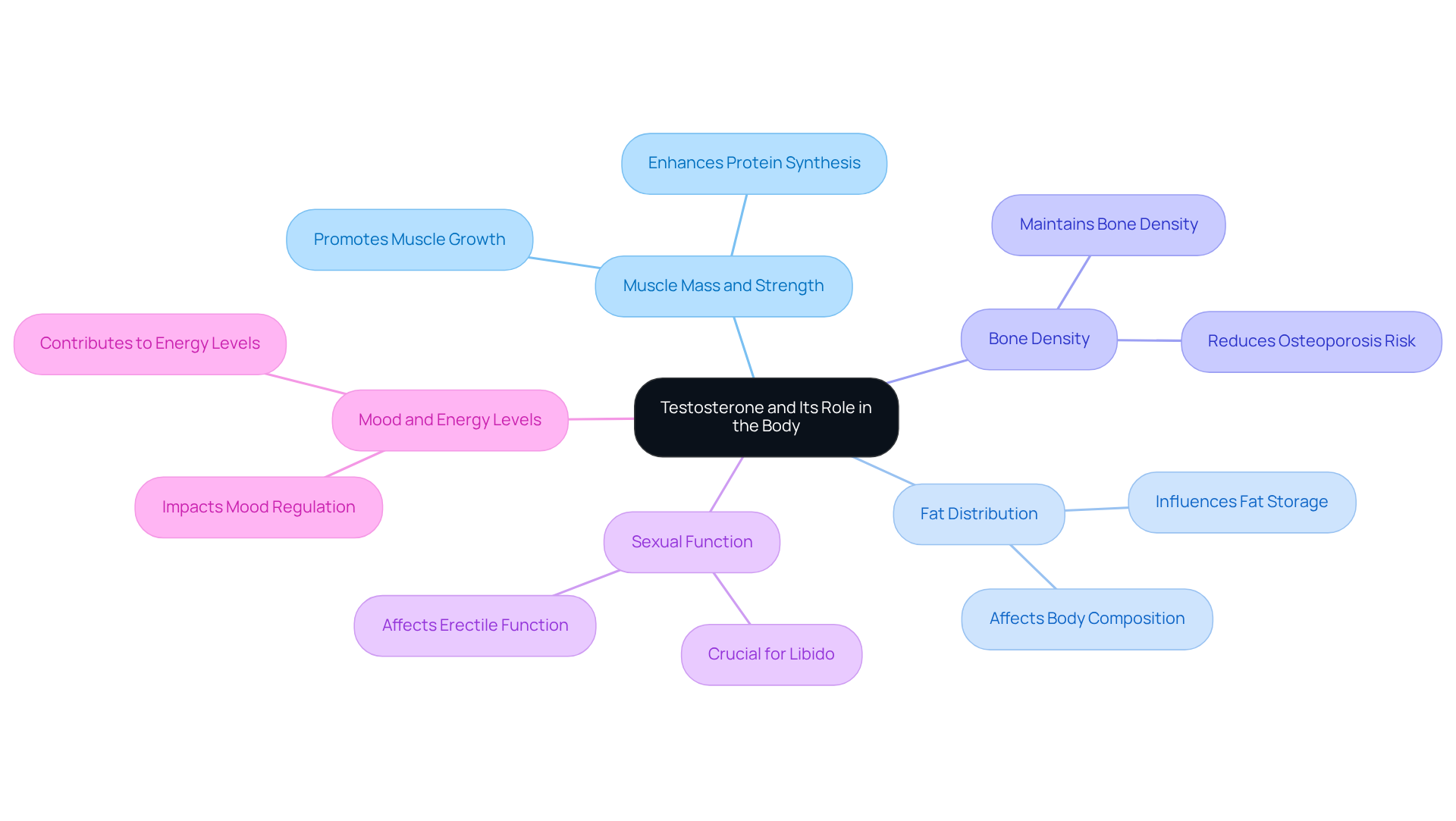 This mindmap starts with testosterone at the center, branching out to various roles it plays in our health. Follow the branches to see how testosterone affects muscle growth, fat storage, bone health, sexual function, and mood. This mindmap starts with testosterone at the center, branching out to various roles it plays in our health. Follow the branches to see how testosterone affects muscle growth, fat storage, bone health, sexual function, and mood.