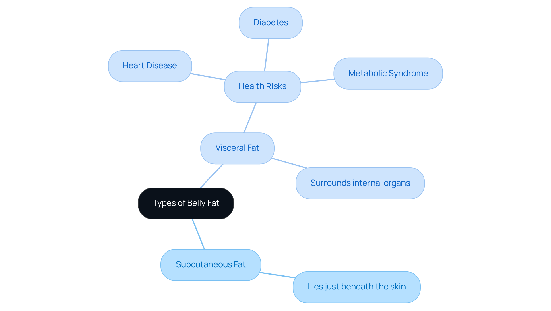 This mindmap starts with the main topic of belly fat types at the center. The branches show the two types of fat and their characteristics. The visceral fat branch highlights its serious health risks, making it clear why understanding these types is important for health. This mindmap starts with the main topic of belly fat types at the center. The branches show the two types of fat and their characteristics. The visceral fat branch highlights its serious health risks, making it clear why understanding these types is important for health.