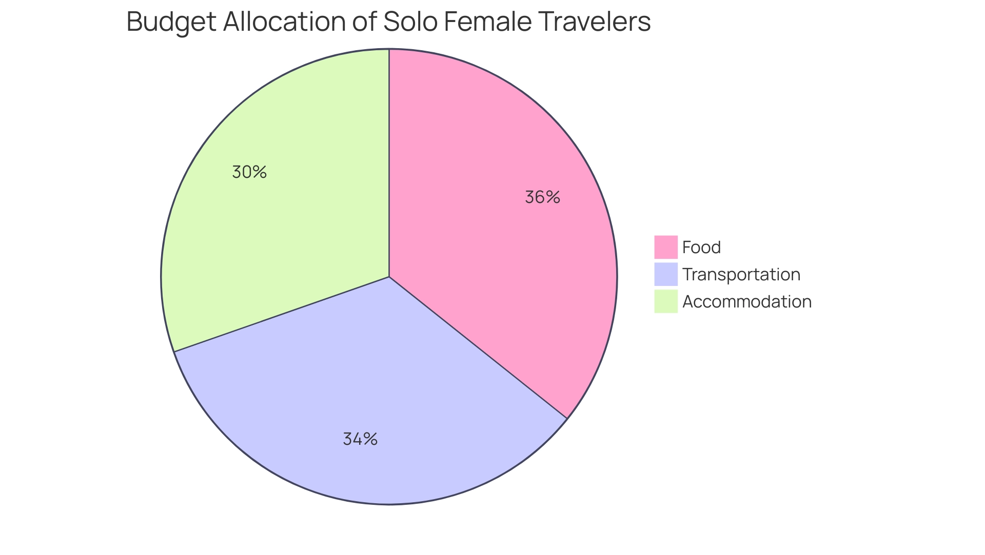 Each segment represents a category of budget allocation, with the size corresponding to the percentage of the total budget dedicated to food, transportation, and accommodation. Each segment represents a category of budget allocation, with the size corresponding to the percentage of the total budget dedicated to food, transportation, and accommodation.