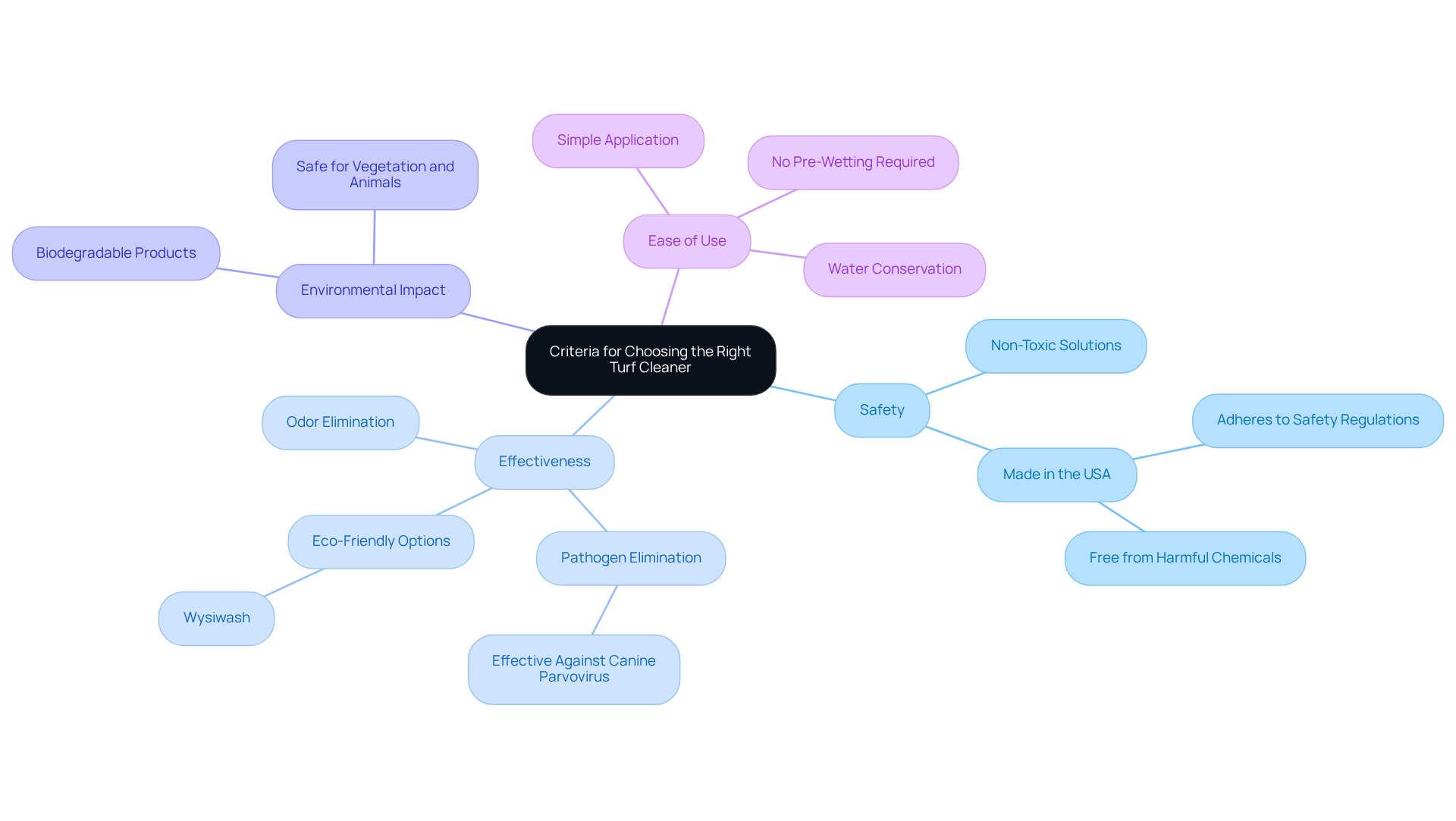 Start at the center with the main criteria, then follow the branches to explore each category and its important details. This layout helps you see how each factor contributes to making a safe and effective choice.