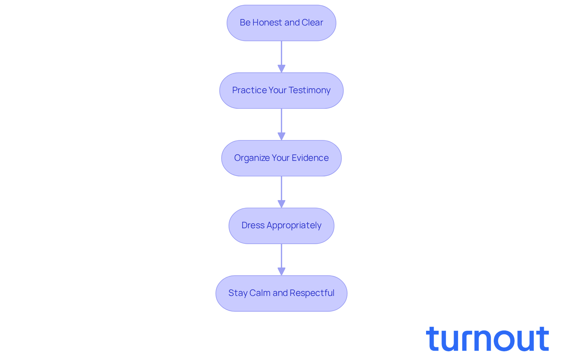 Each box represents a key strategy to follow during your hearing. Follow the arrows to see the order in which you should prepare and present your case.