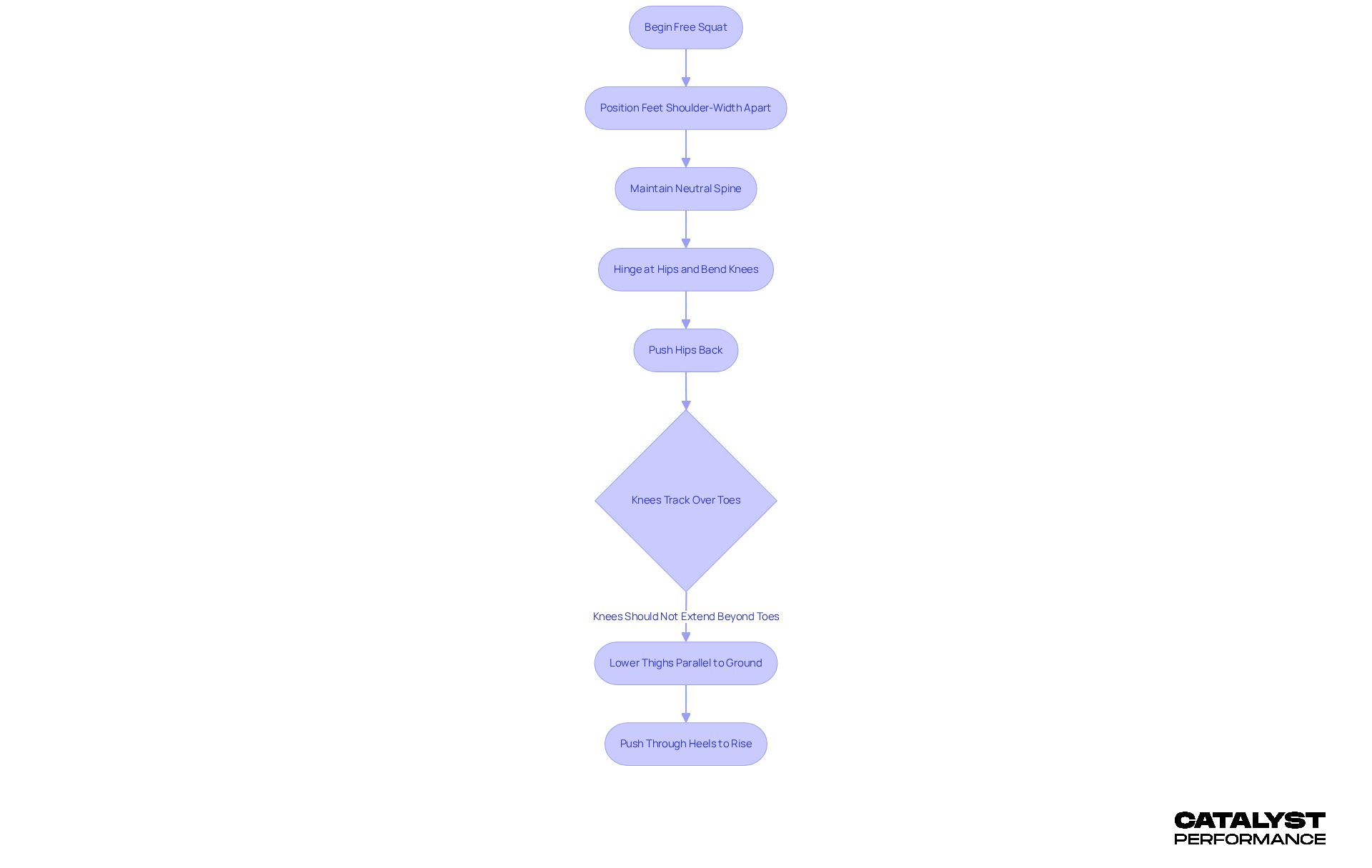 Follow the arrows to see each step in the free squat process. Each box represents an action you should take, and the cautionary notes remind you of important form details to prevent injury.