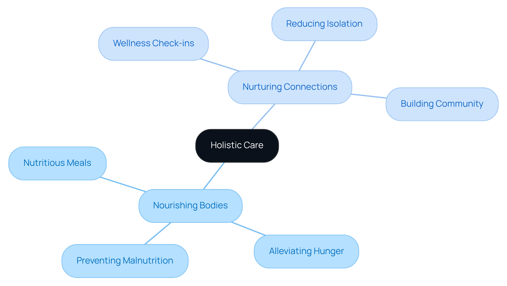The mindmap starts with the concept of holistic care at the center, then branches out to show the two key focuses: how meals nourish seniors physically and how check-ins nurture their emotional well-being.