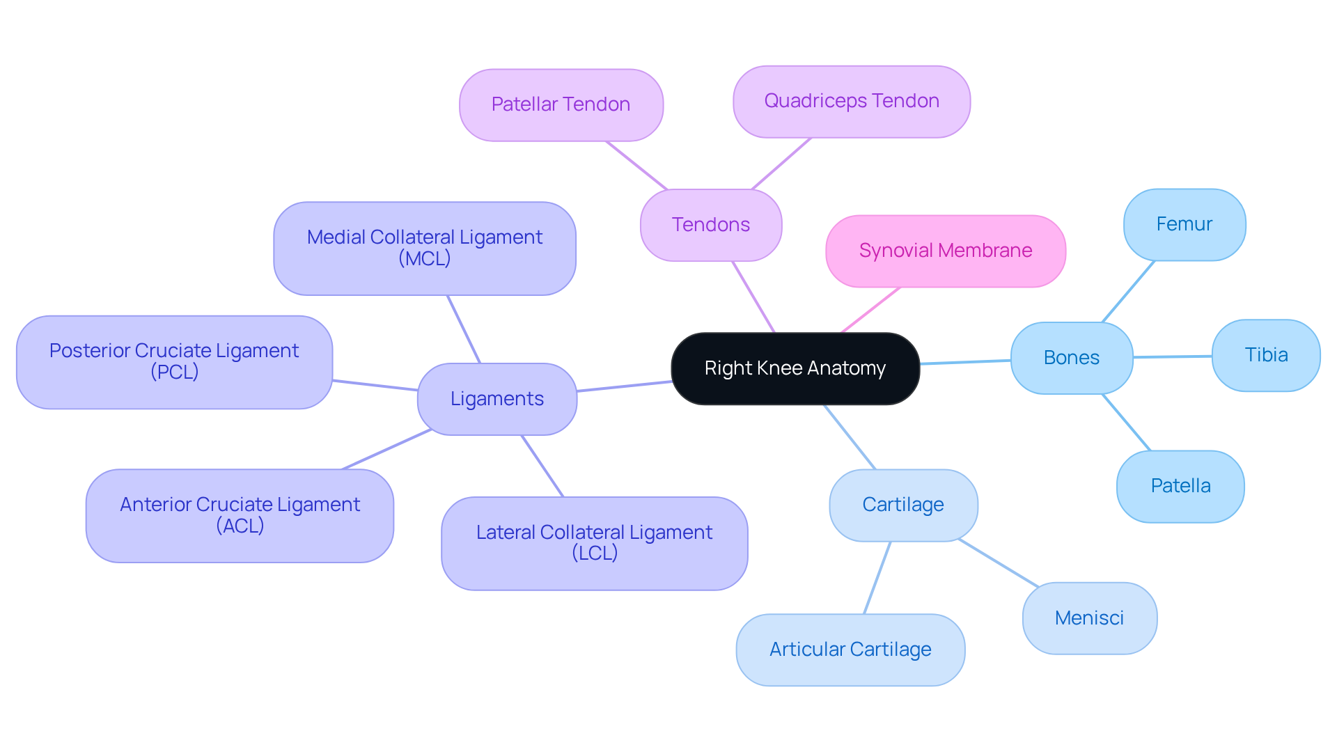 This mindmap illustrates the anatomy of the right knee. Start at the center with 'Right Knee Anatomy' and follow the branches to explore each component. Each branch represents a different part of the knee, showing how they connect and function together.