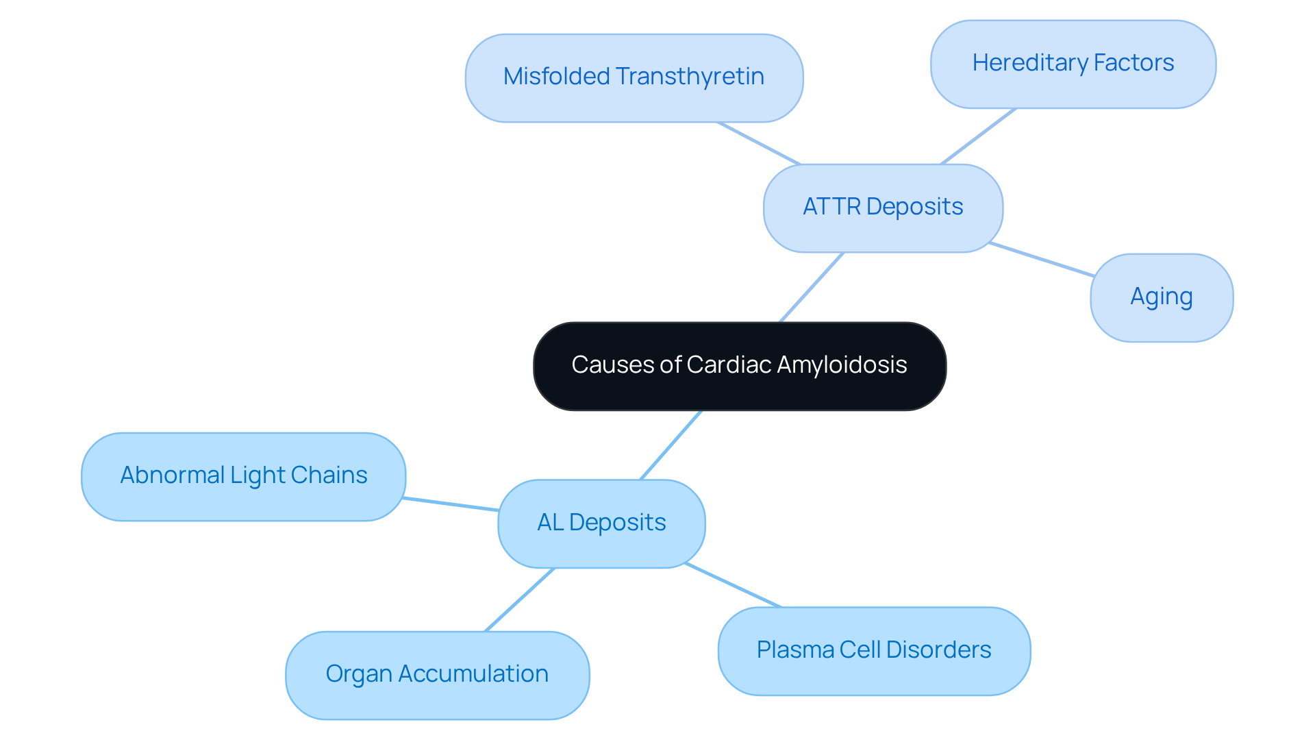 The central node represents the overall topic, while the branches show the two main types of amyloidosis and their causes. Each sub-branch provides more detail about specific factors contributing to protein accumulation.