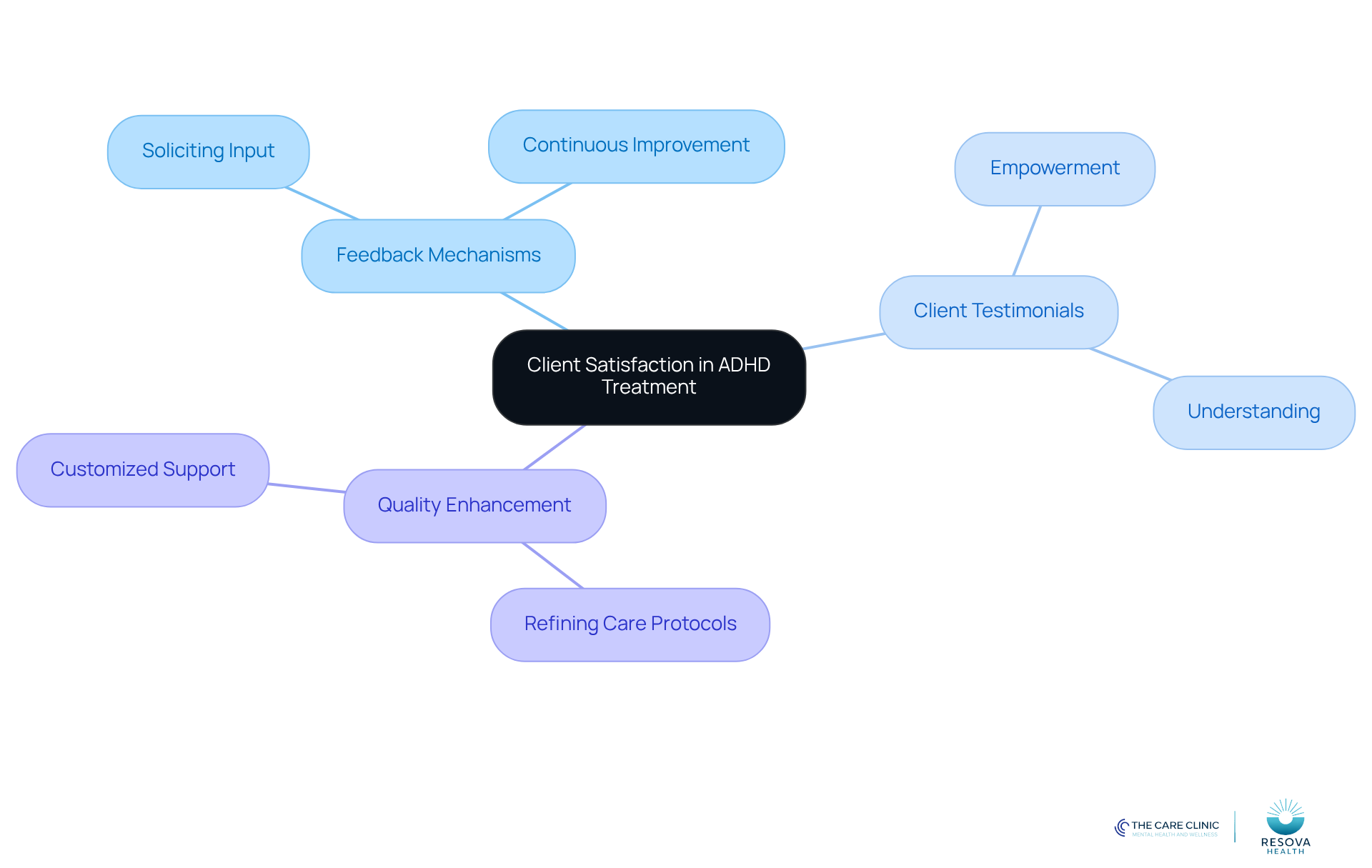 The central node represents the main focus on client satisfaction, while the branches illustrate the various aspects that contribute to this commitment. Each branch highlights a different area of focus, showing how they all connect to enhance the overall quality of care.