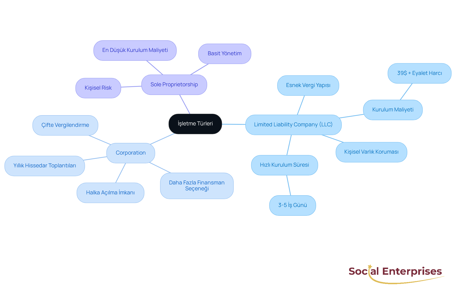 Merkezdeki 'İşletme Türleri' başlığını takip ederek, her bir dalın altında o işletme türüne ait özellikleri ve avantajları keşfedin. Her dal, o türün sunduğu önemli bilgileri temsil ediyor. Merkezdeki 'İşletme Türleri' başlığını takip ederek, her bir dalın altında o işletme türüne ait özellikleri ve avantajları keşfedin. Her dal, o türün sunduğu önemli bilgileri temsil ediyor.