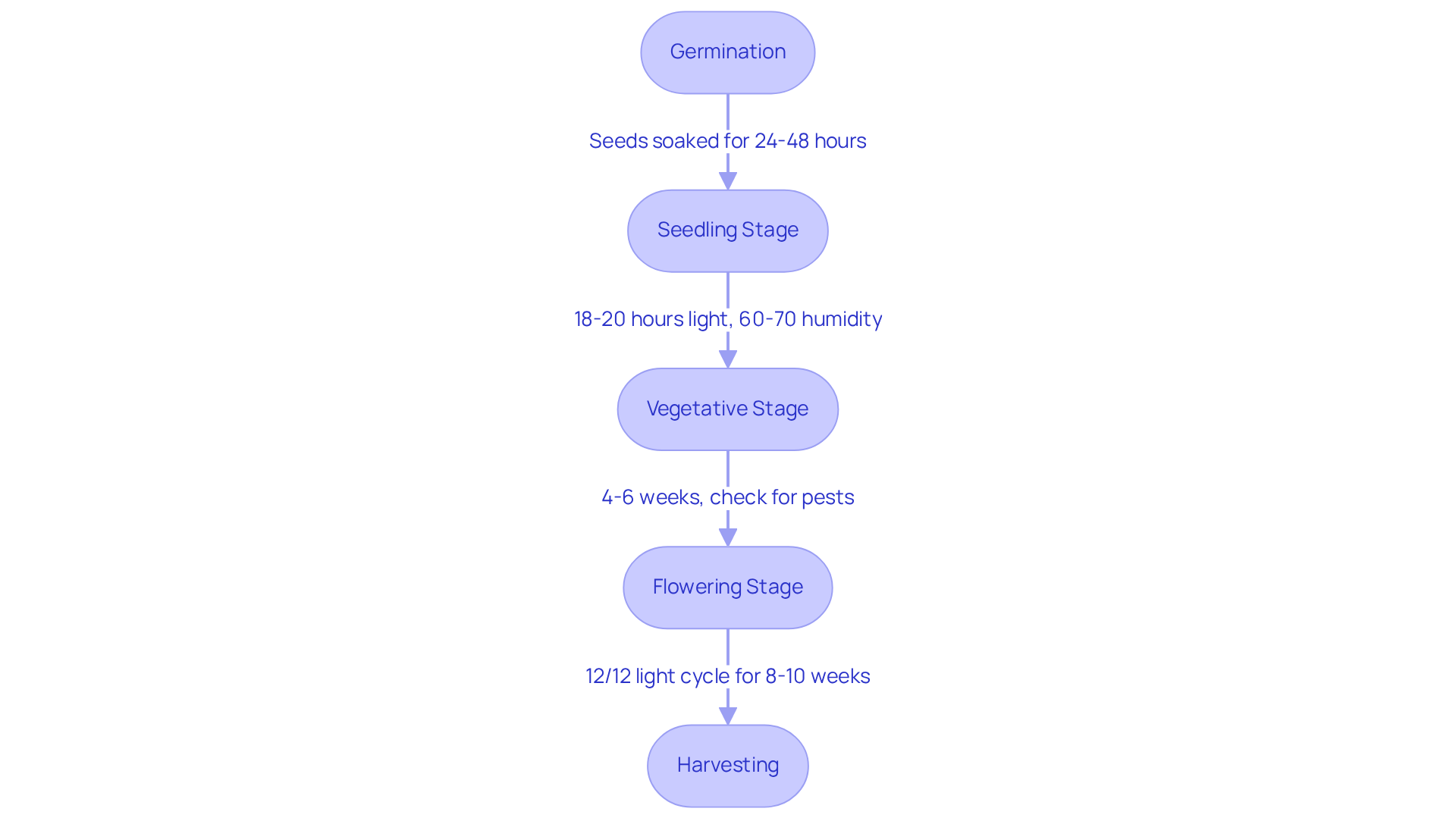 Each box represents a stage in the cultivation process. The arrows show how you progress from one step to the next, guiding you through the journey of growing Lemon Skunk cannabis.