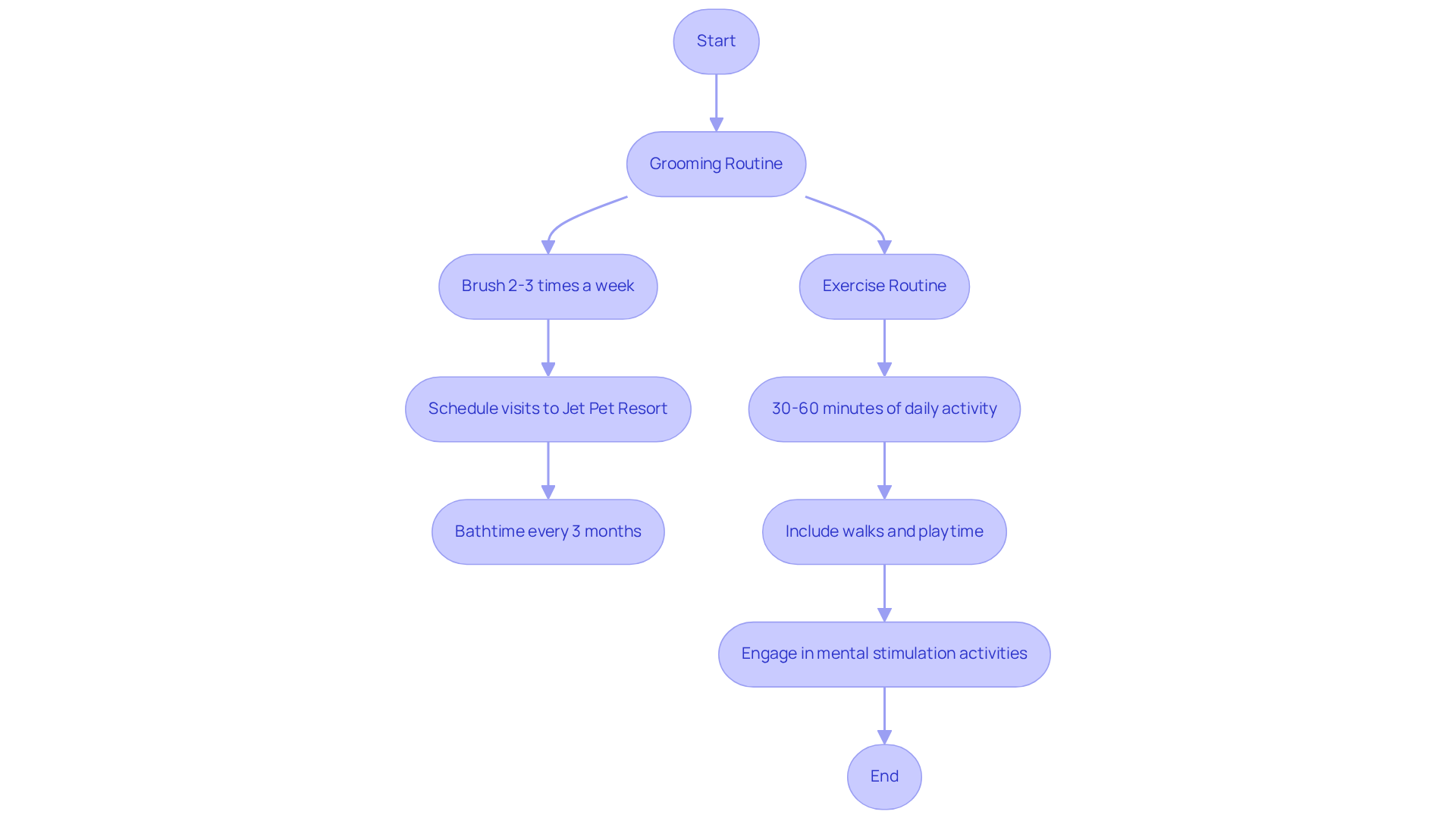 This flowchart guides you through the essential grooming and exercise steps for your Mini Dachshund, helping you understand how to take care of your pet's well-being step by step.