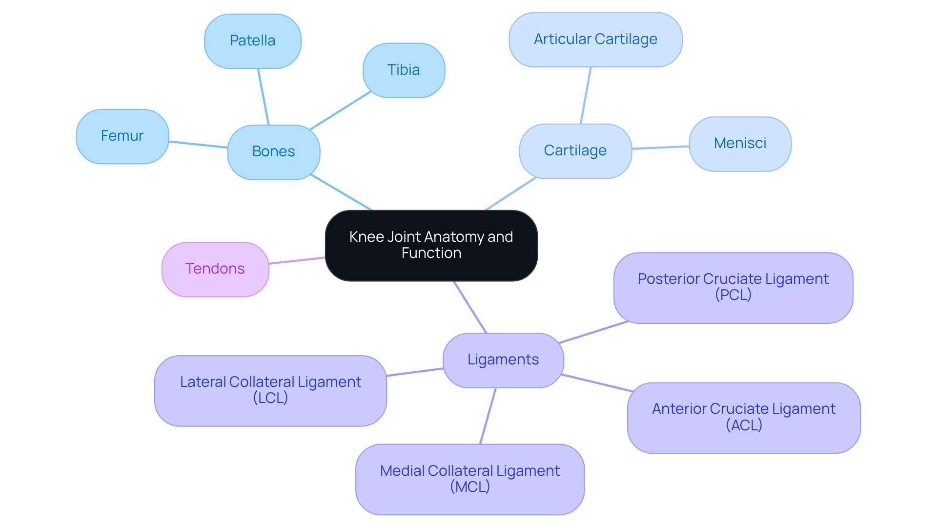 This mindmap starts with the knee joint at the center and branches out to show the key components. Each branch represents a different part of the knee, helping you understand how they all connect and work together.