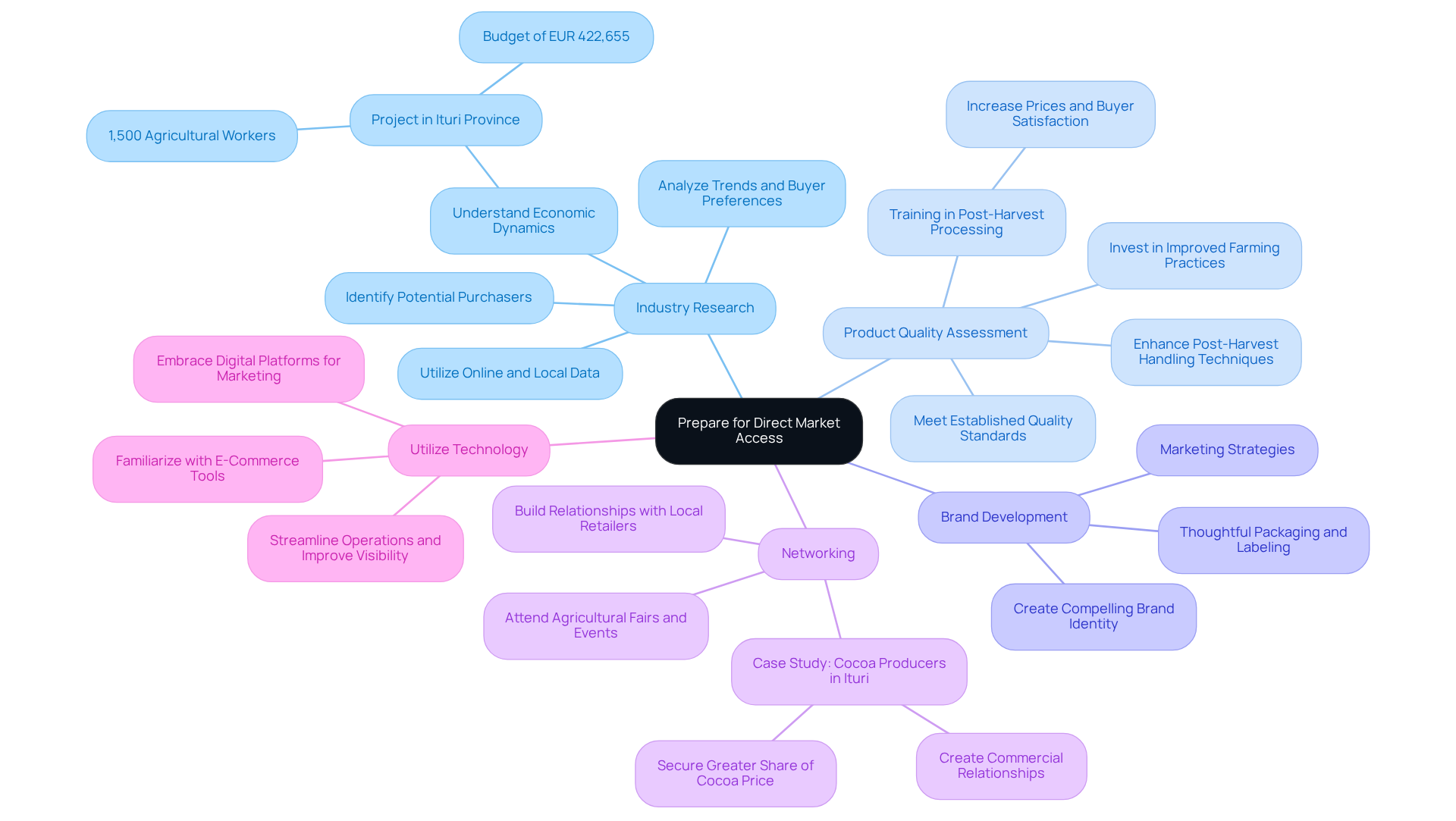 The central idea is about preparing for market access, and each branch highlights a key strategy. The sub-branches represent specific actions or insights related to each strategy, making it easy to see how they contribute to the overall goal.