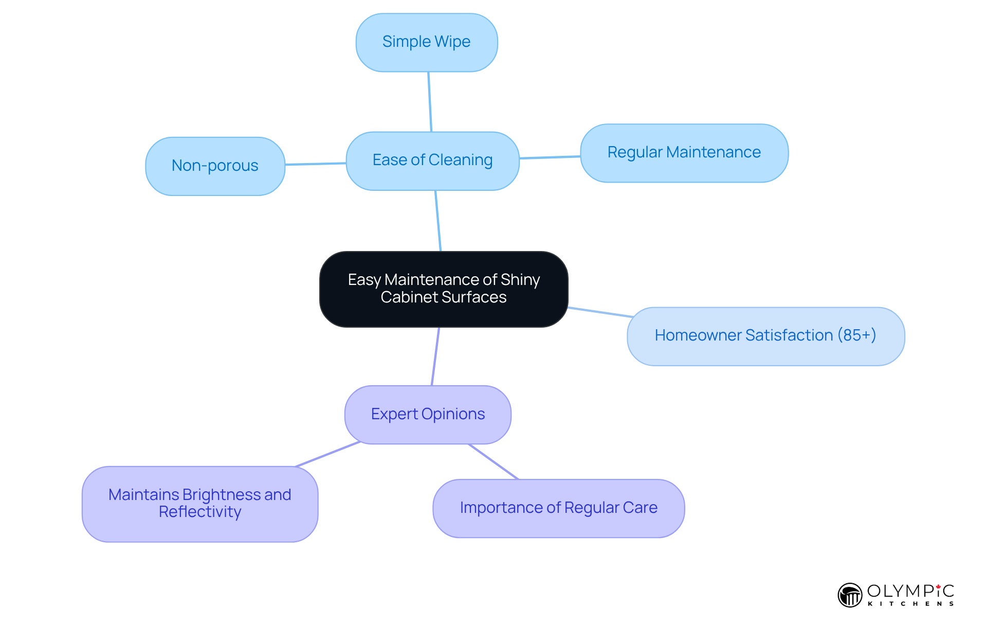The central idea is about easy maintenancewith branches showing how shiny cabinet surfaces are easy to cleanhow satisfied homeowners areand what cleaning specialists say about their upkeep.