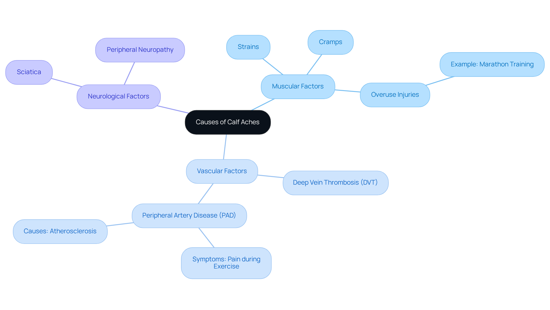 This mindmap starts with the main issue of calf aches at the center. Each branch represents a different category of causes: muscular, vascular, and neurological. Follow the branches to see specific issues and examples related to each category, helping you understand what might be causing discomfort in your legs. This mindmap starts with the main issue of calf aches at the center. Each branch represents a different category of causes: muscular, vascular, and neurological. Follow the branches to see specific issues and examples related to each category, helping you understand what might be causing discomfort in your legs.