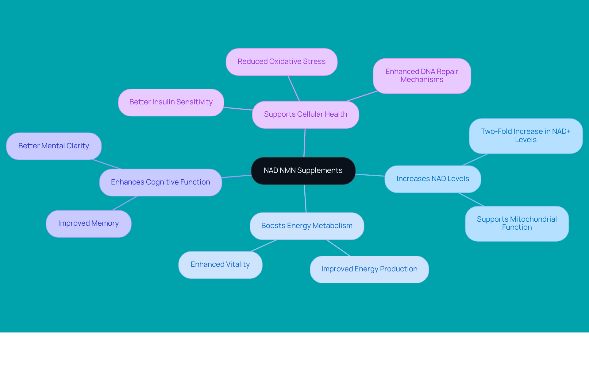 The central node represents the main topic, while the branches show different characteristics and benefits. Each color-coded branch helps you easily identify related benefits, making it simple to understand how NMN supplements can enhance your health.
