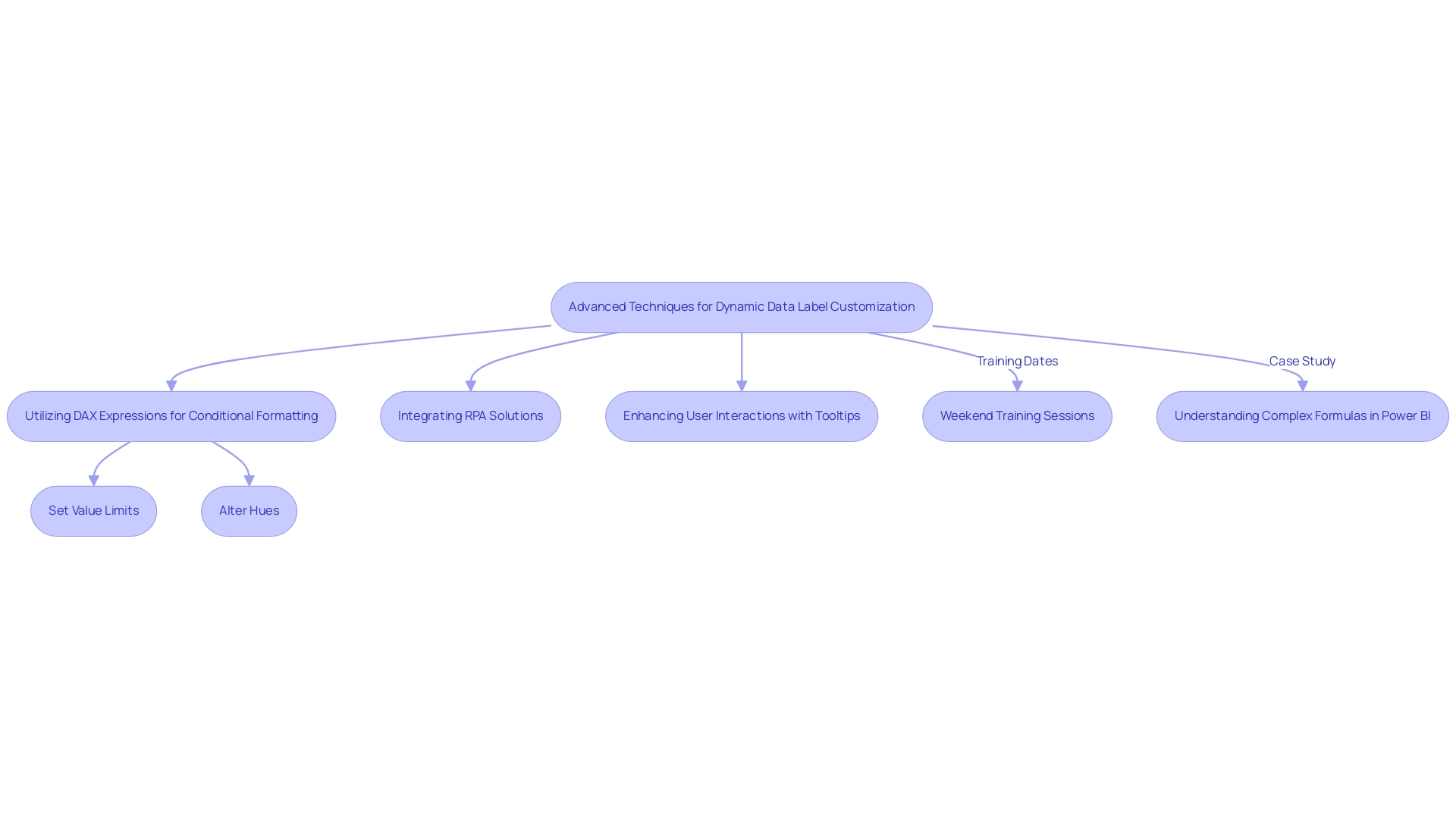 Each branch represents a key technique in data label customization, with arrows indicating the flow of processes and actions associated with each technique.