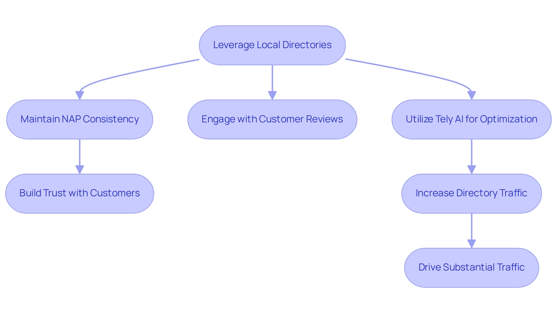 Each box represents a strategy or action related to leveraging local directories, with arrows indicating the flow and relationships between these strategies.