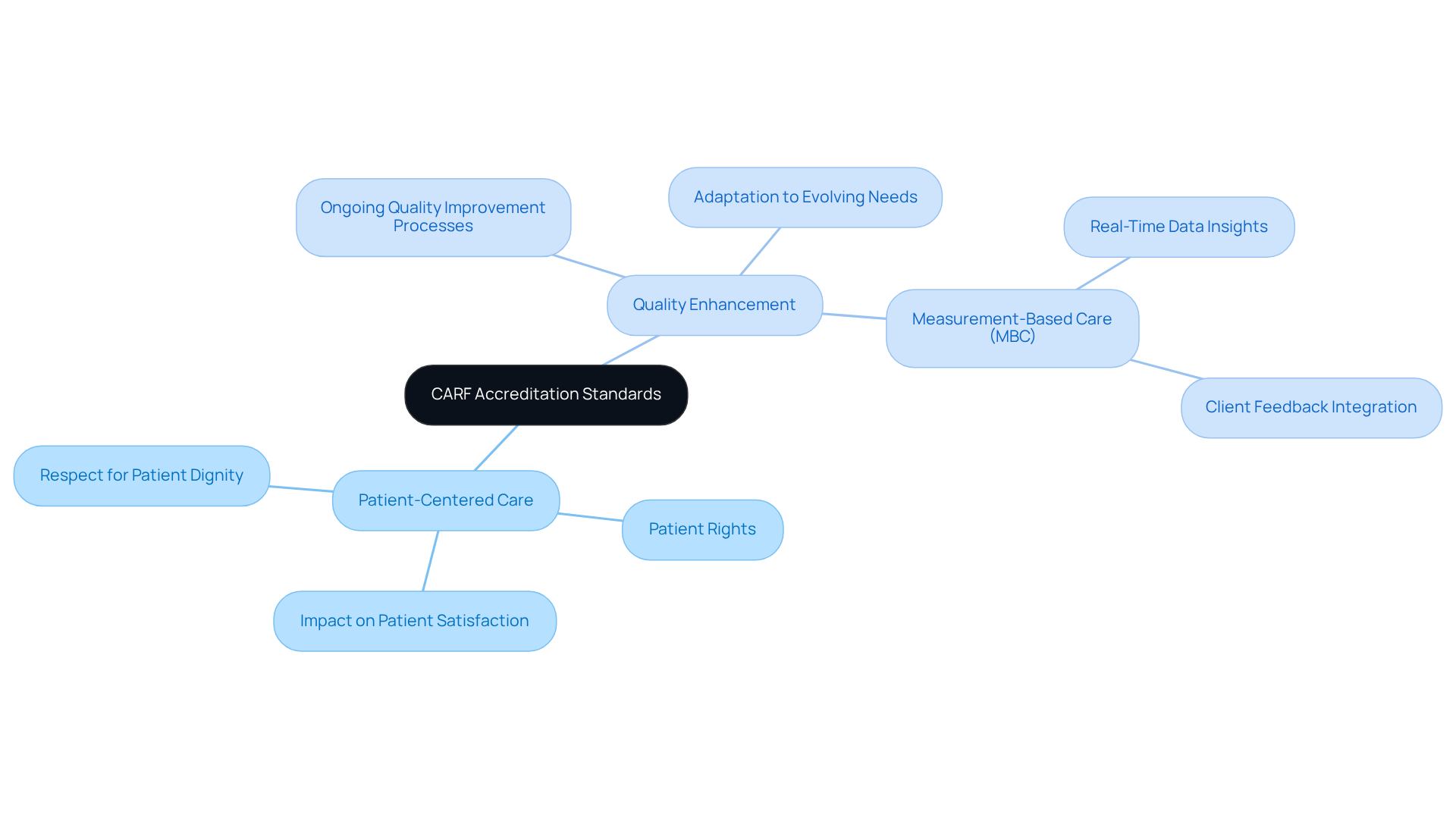The center represents CARF accreditation, with branches showing key focus areas. Each branch highlights important aspects of care that organizations must prioritize to meet accreditation standards.