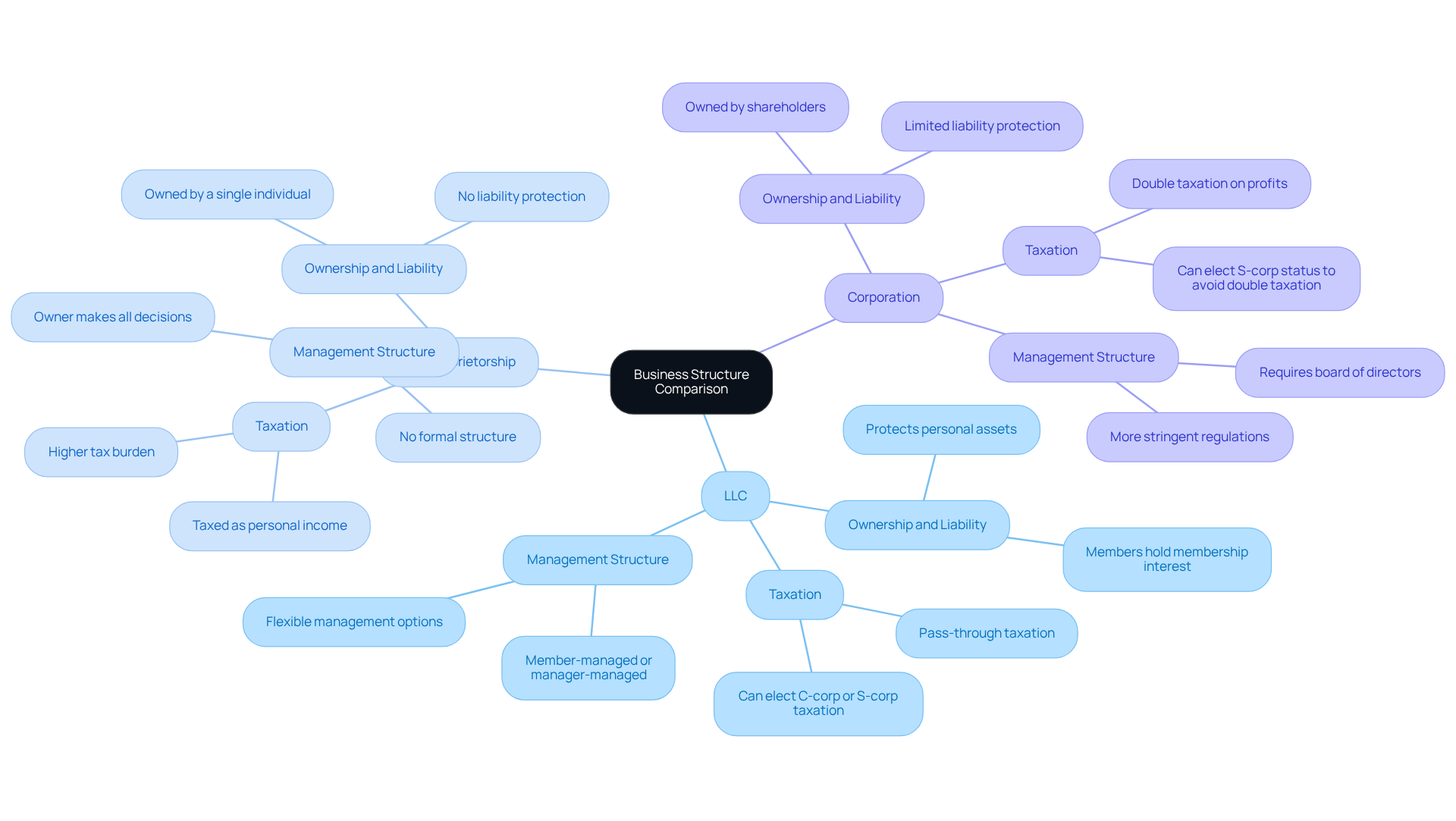 The central node represents the overall topic, while the branches show the different business types. Each sub-branch details specific characteristics, helping you understand how they differ from one another. The central node represents the overall topic, while the branches show the different business types. Each sub-branch details specific characteristics, helping you understand how they differ from one another.