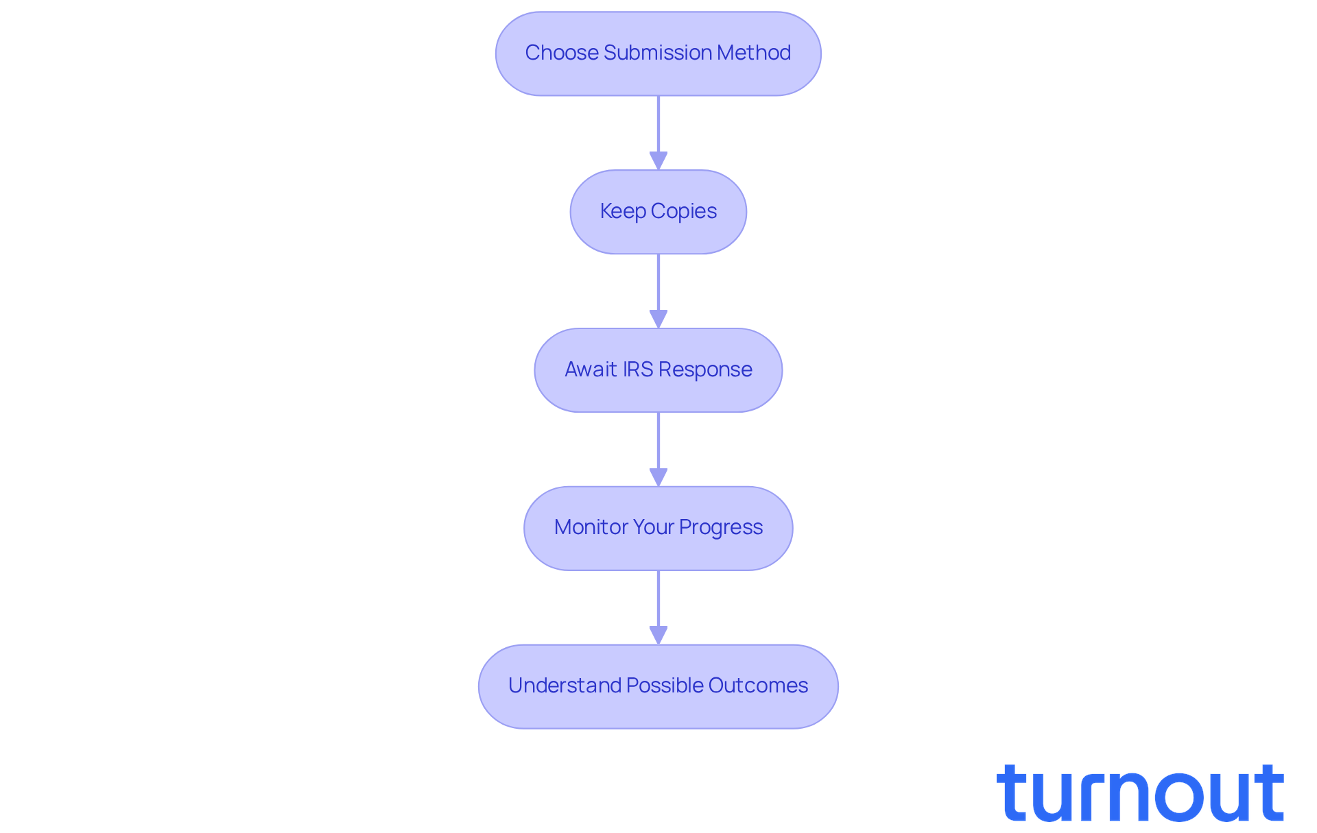 Each box represents a step in the application process. Follow the arrows to see how to navigate from choosing your submission method all the way to understanding the outcomes of your application.