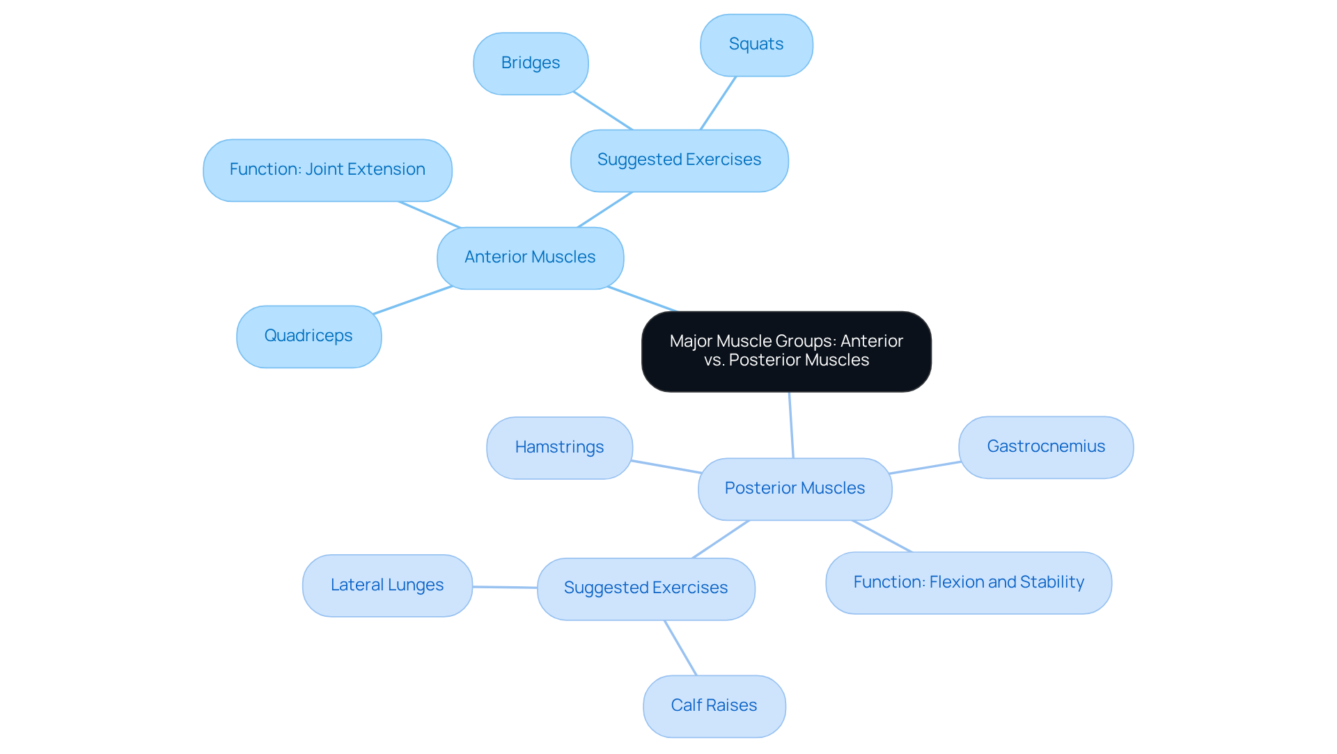 This mindmap shows the two main muscle groups related to knee function. The anterior muscles help with extending the knee, while the posterior muscles assist with flexion and stability. Each group has suggested exercises to strengthen them, which can help reduce pain and improve mobility. This mindmap shows the two main muscle groups related to knee function. The anterior muscles help with extending the knee, while the posterior muscles assist with flexion and stability. Each group has suggested exercises to strengthen them, which can help reduce pain and improve mobility.