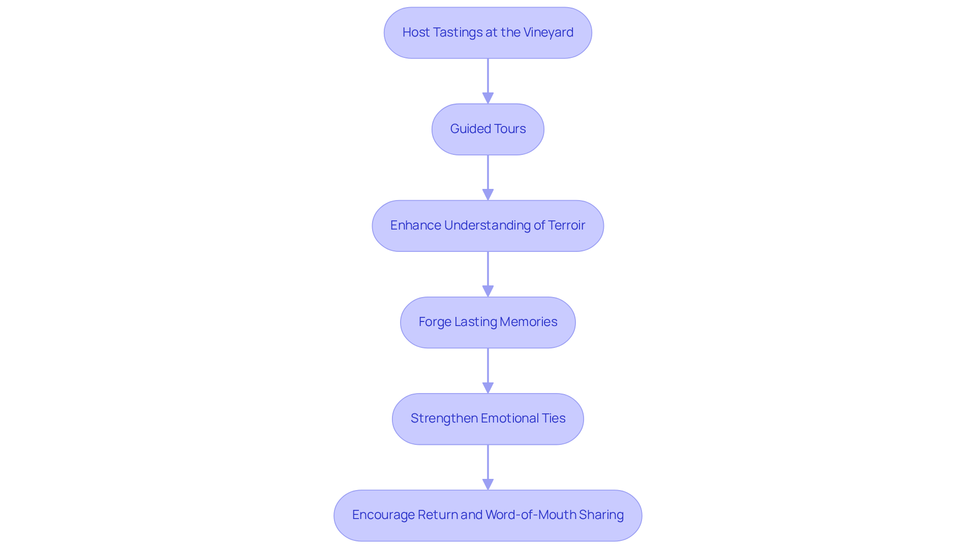 Each step in the flowchart represents a part of the vineyard experience, showing how they connect to create lasting customer relationships.
