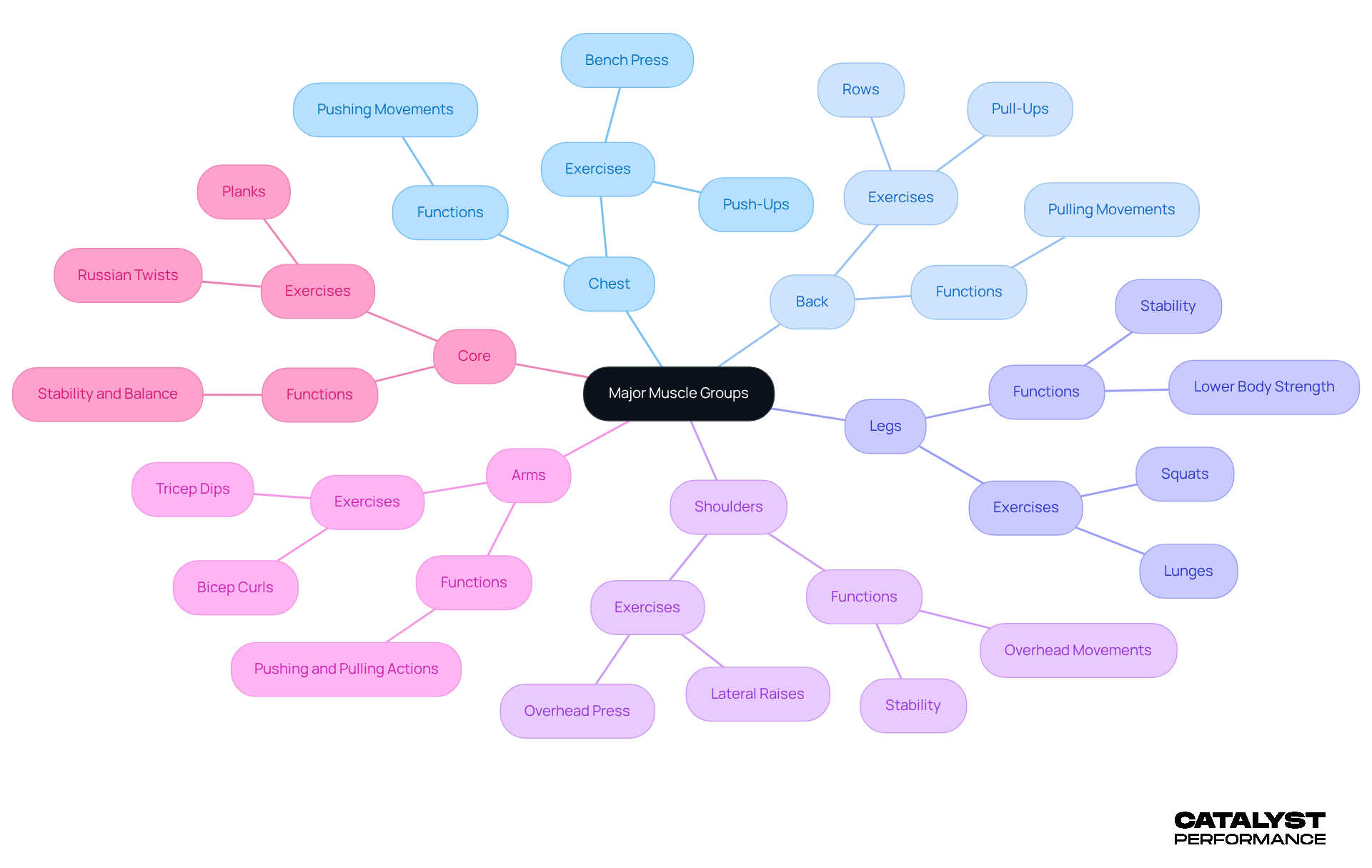 The central node represents the overall topic of muscle groups. Each branch shows a specific muscle group, and the sub-branches explain their functions and related exercises. This layout helps you understand how different parts of your body work together during workouts. The central node represents the overall topic of muscle groups. Each branch shows a specific muscle group, and the sub-branches explain their functions and related exercises. This layout helps you understand how different parts of your body work together during workouts.