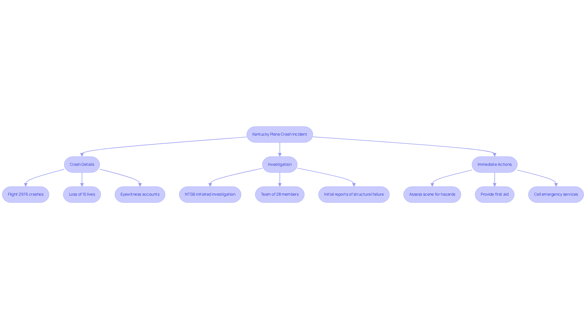 This flowchart outlines the key events and actions related to the Kentucky plane crash. Start at the top with the incident, then follow the arrows to see the details of the crash, the ongoing investigation, and the immediate steps that victims and witnesses should take.