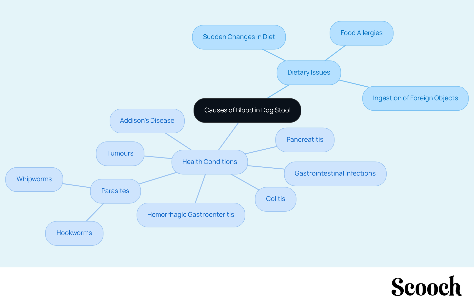 This mindmap starts with the main topic in the center and branches out to show different causes. Each branch represents a category, and the sub-branches provide specific examples. This helps you understand the various factors that could affect your dog's health. This mindmap starts with the main topic in the center and branches out to show different causes. Each branch represents a category, and the sub-branches provide specific examples. This helps you understand the various factors that could affect your dog's health.