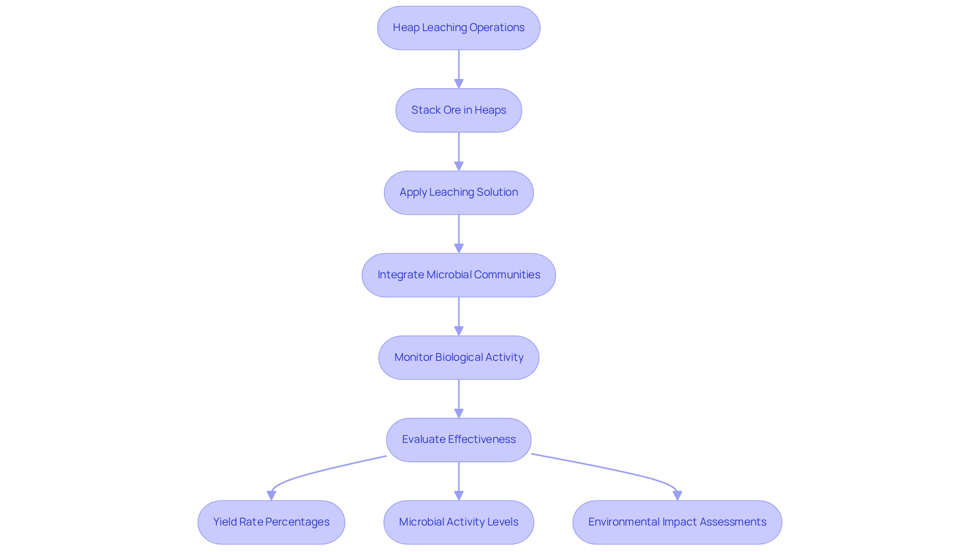 Follow the arrows to see how heap leaching works step by step. Each box represents a part of the process, and the last box shows how we measure success.
