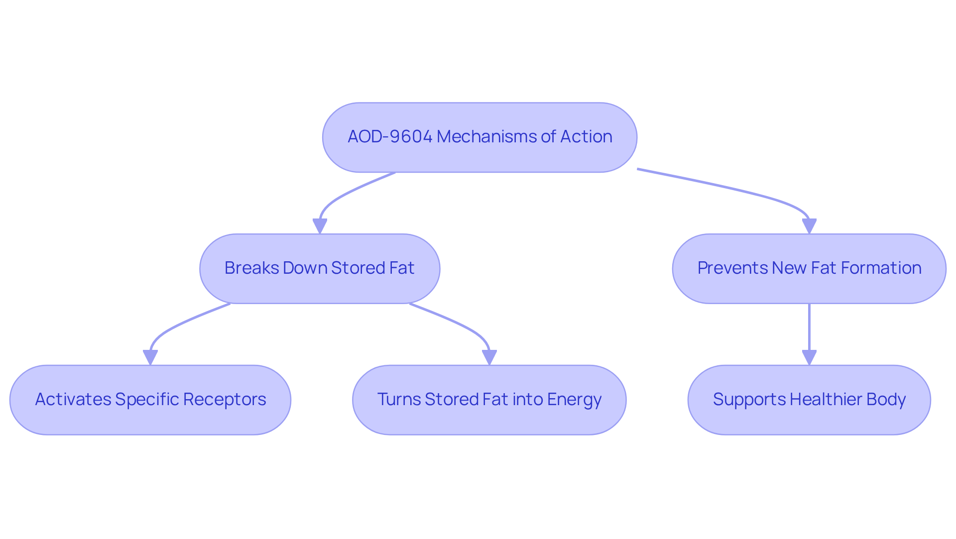 This flowchart shows how AOD-9604 helps with fat metabolism. The first step is breaking down stored fat, and the second step is preventing new fat from forming. Follow the arrows to see how these actions work together to support your wellness journey.