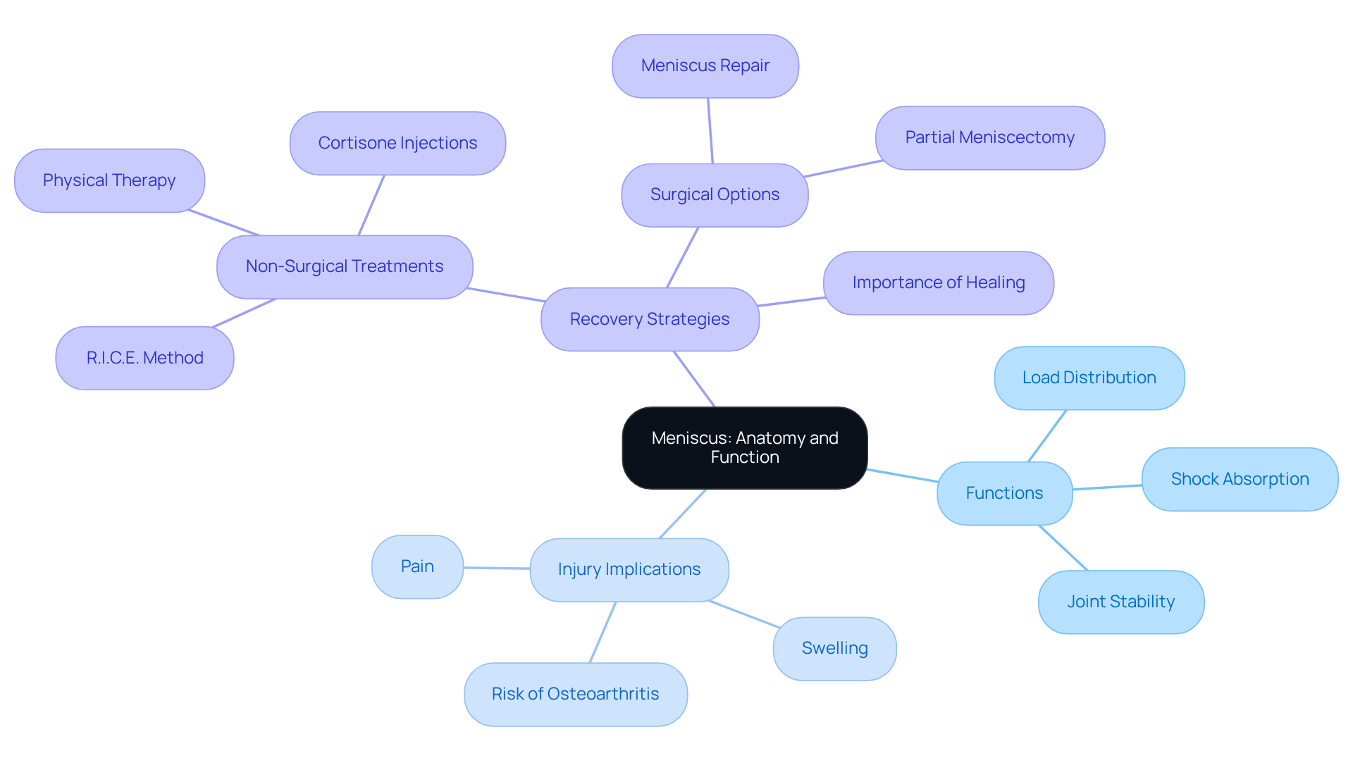 The central node represents the meniscus, while the branches show its key functions and the importance of recovery from injuries. Each color-coded section helps you see how everything connects.