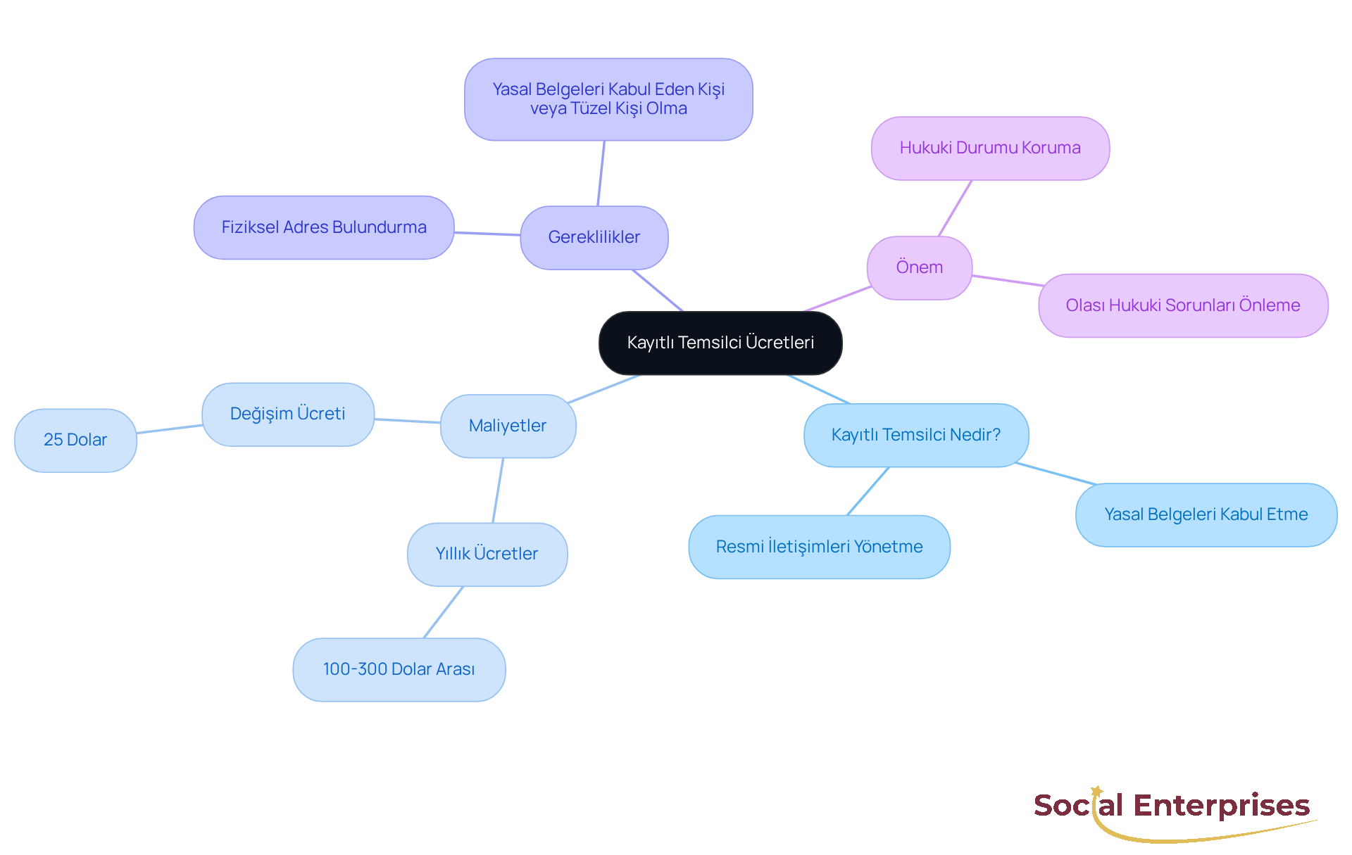 Merkezde kayıtlı temsilcinin rolü ve maliyetleri yer alıyor. Dallara ayrılarak her bir konunun önemli noktaları belirgin hale getiriliyor.