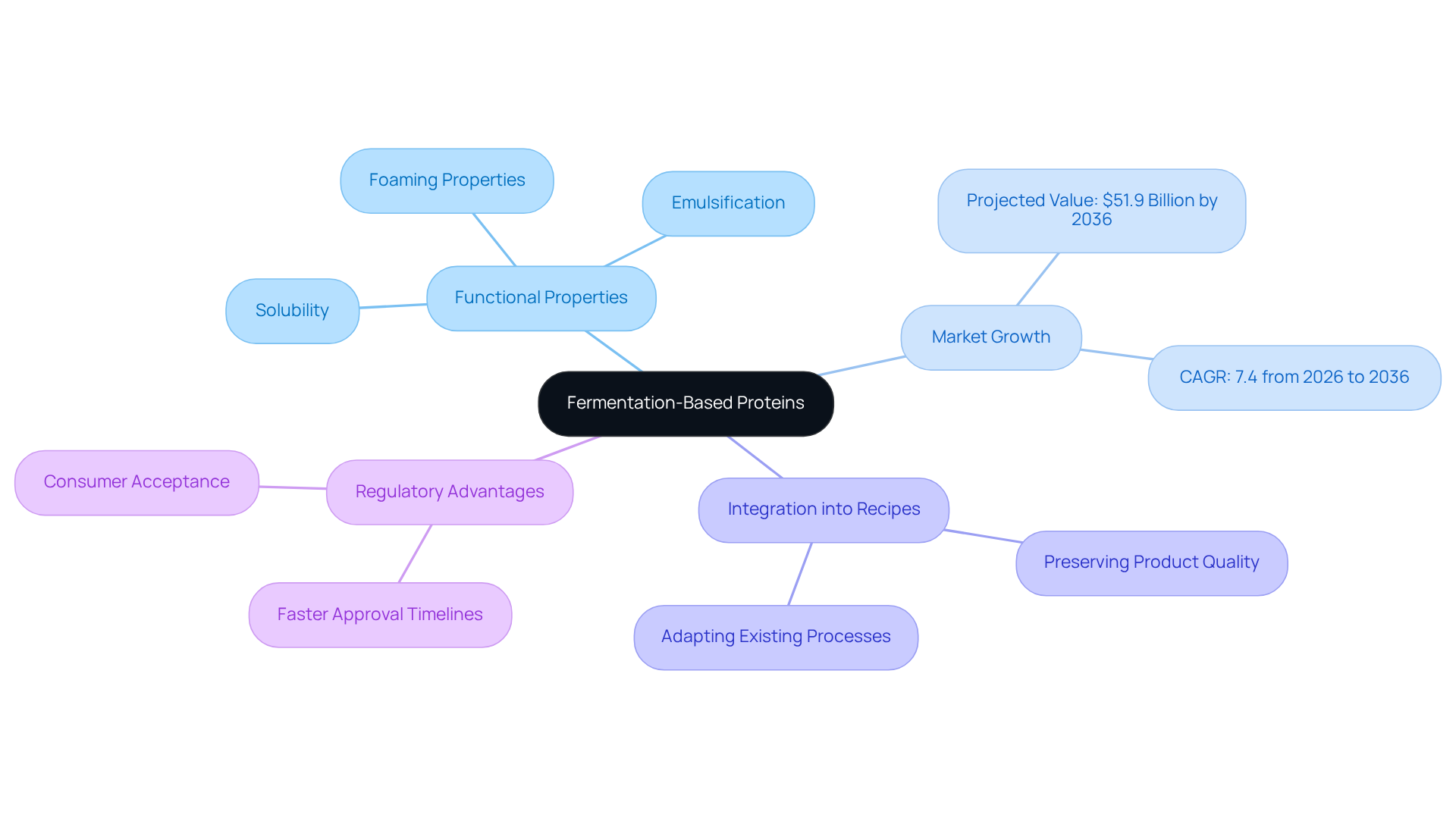 Start at the center with the main topic of fermentation-based proteins, then explore the branches to see their functional benefits, market potential, and how they fit into food production processes.